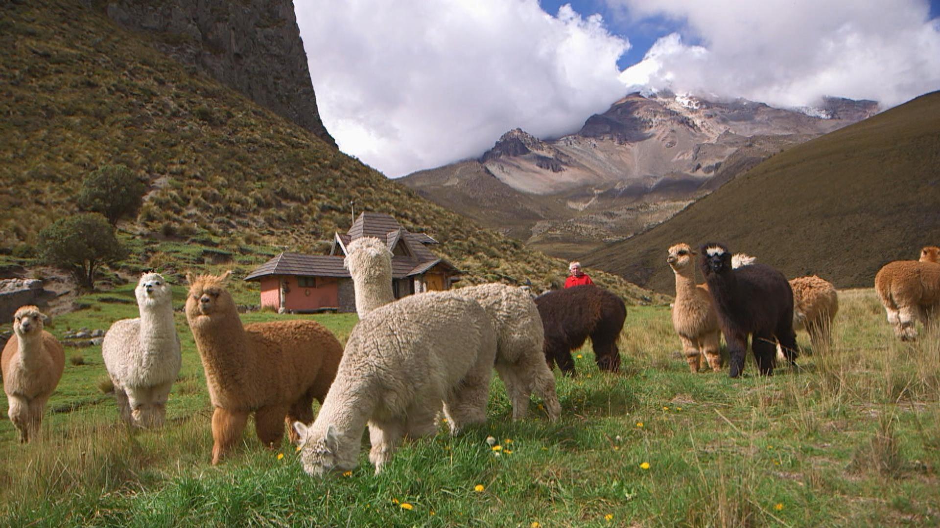 Prime Video: Invitation au voyage - Nos épopées - Bien au chaud - Saison 1