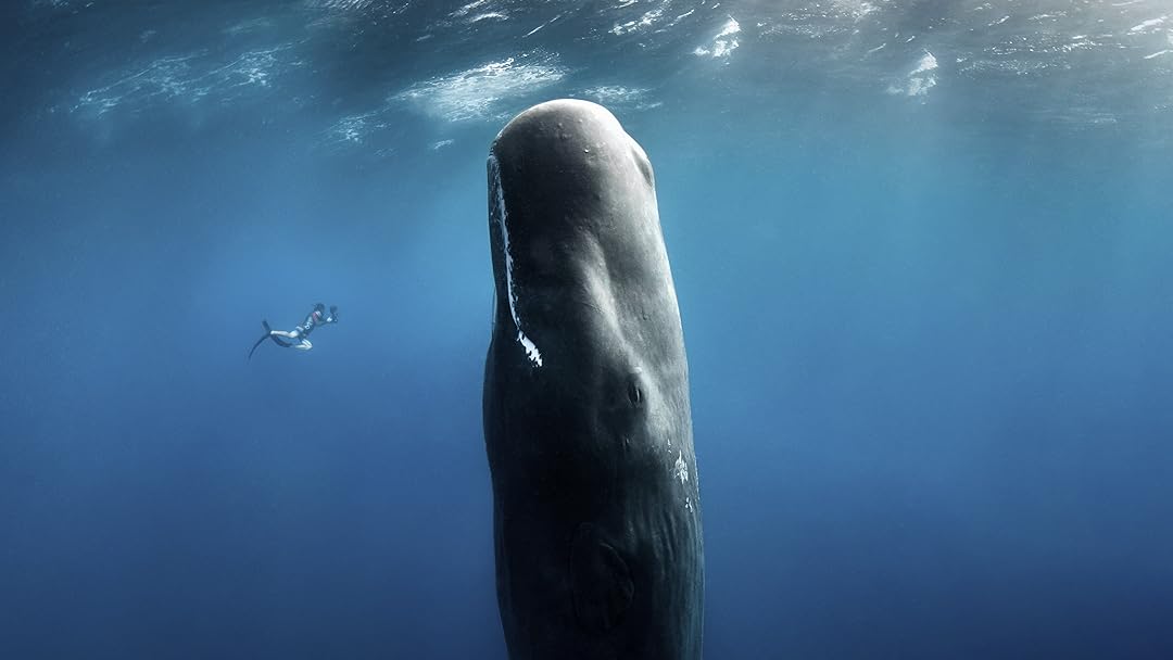 Prime Video: Chasing Ocean Giants - Season 1