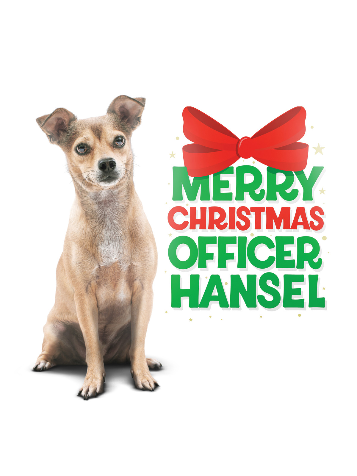 Prime Video: Merry Christmas Officer Hansel