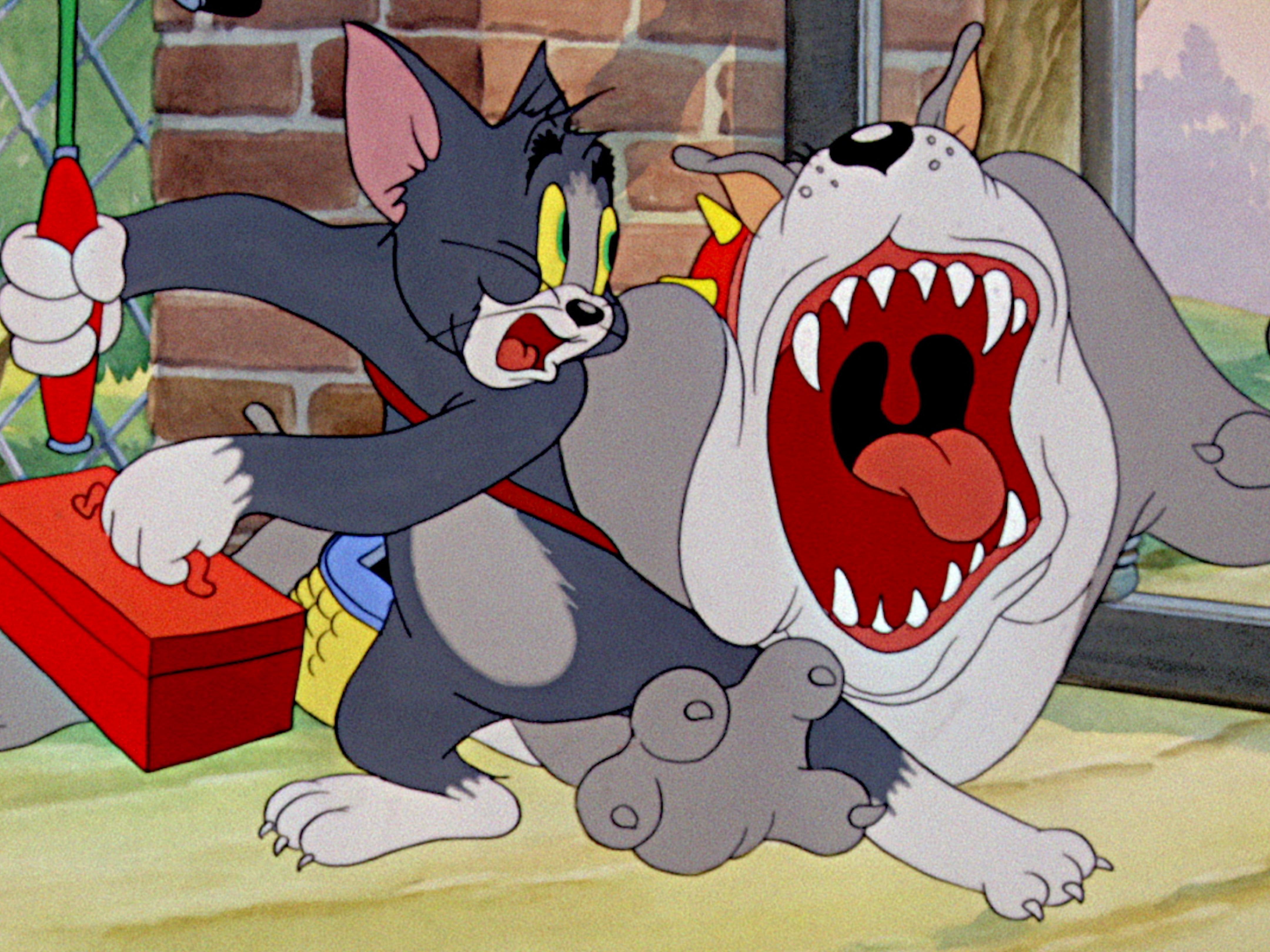 Prime Video: Tom and Jerry - Season 1