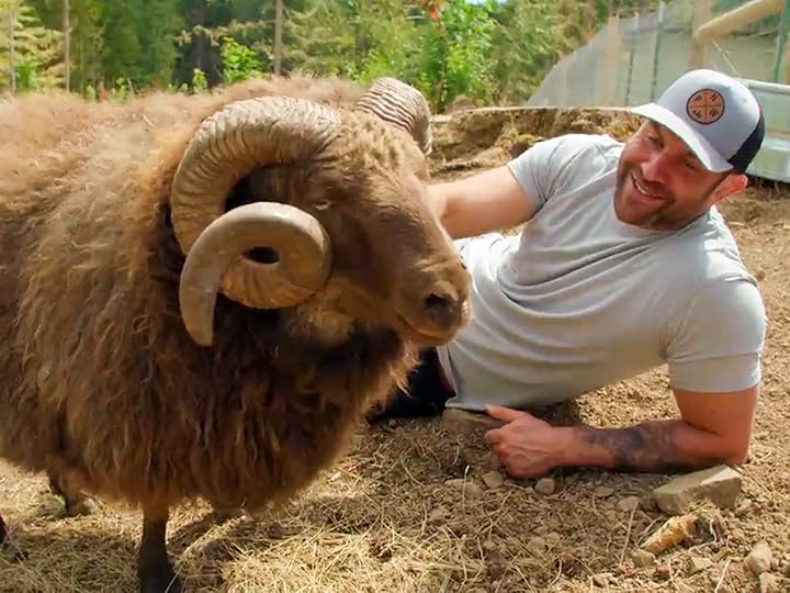 Prime Video: My Pack Life - Season 1