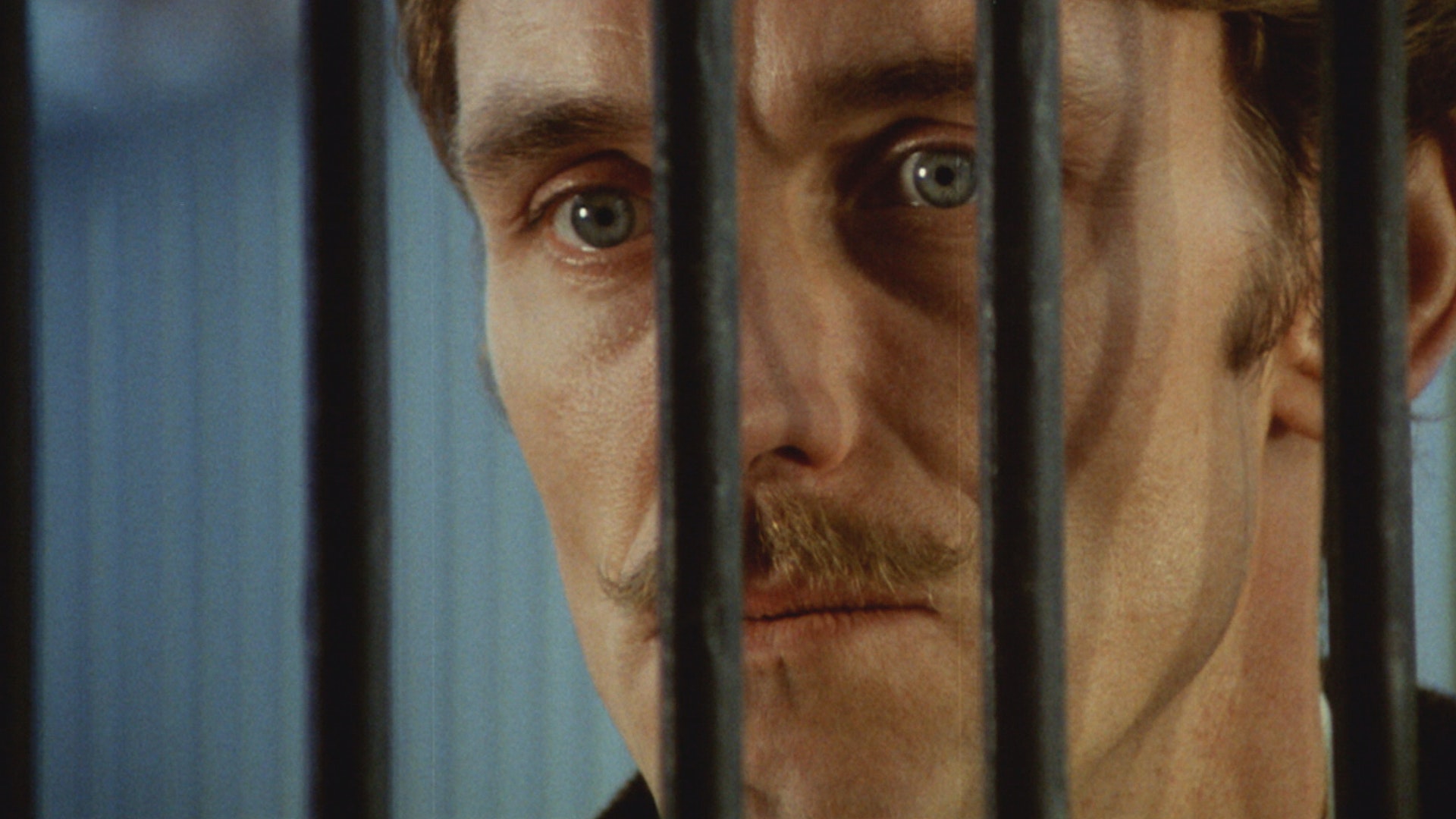 Prime Video: Terror infinito