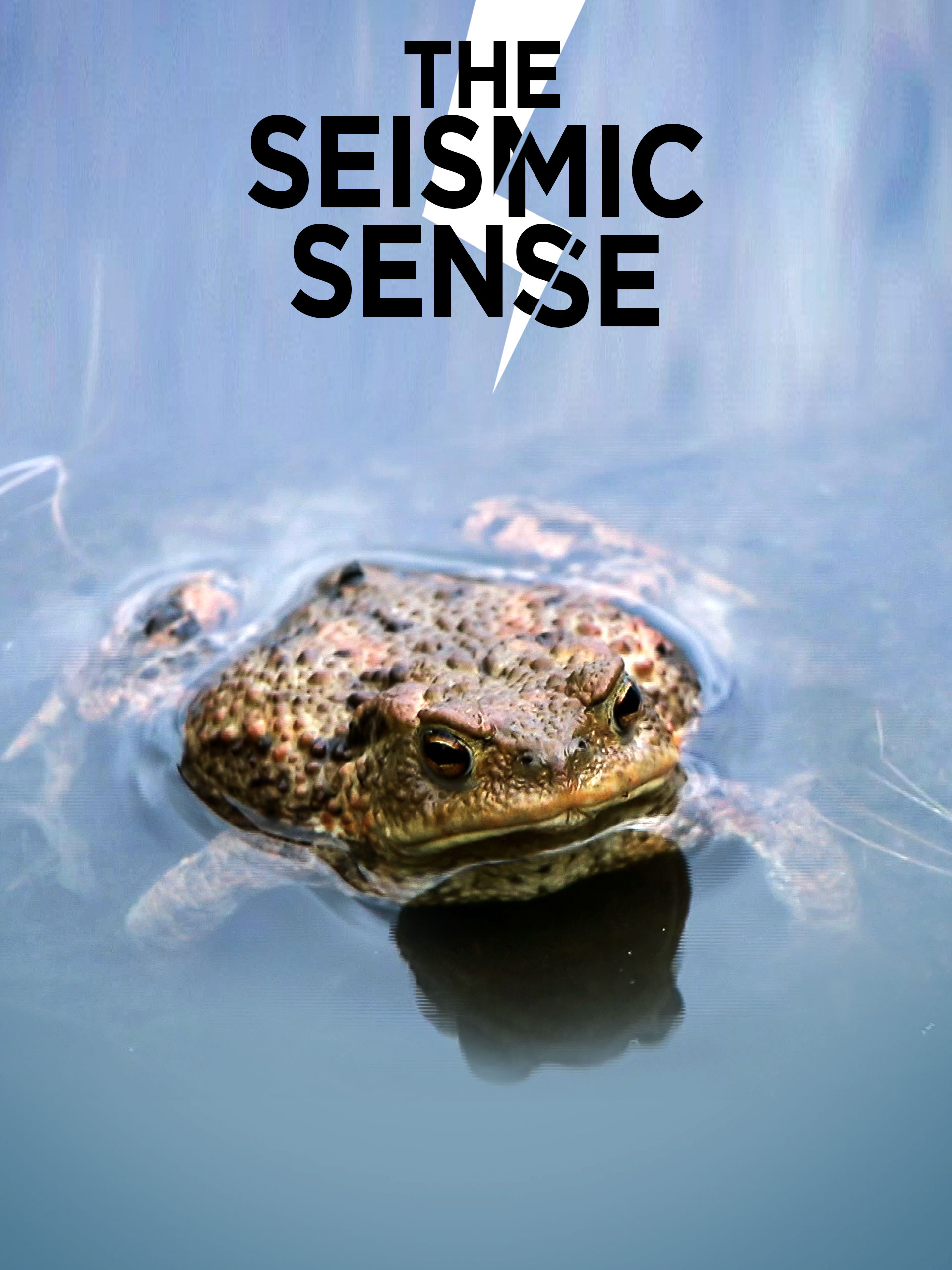 Prime Video: The Seismic Sense