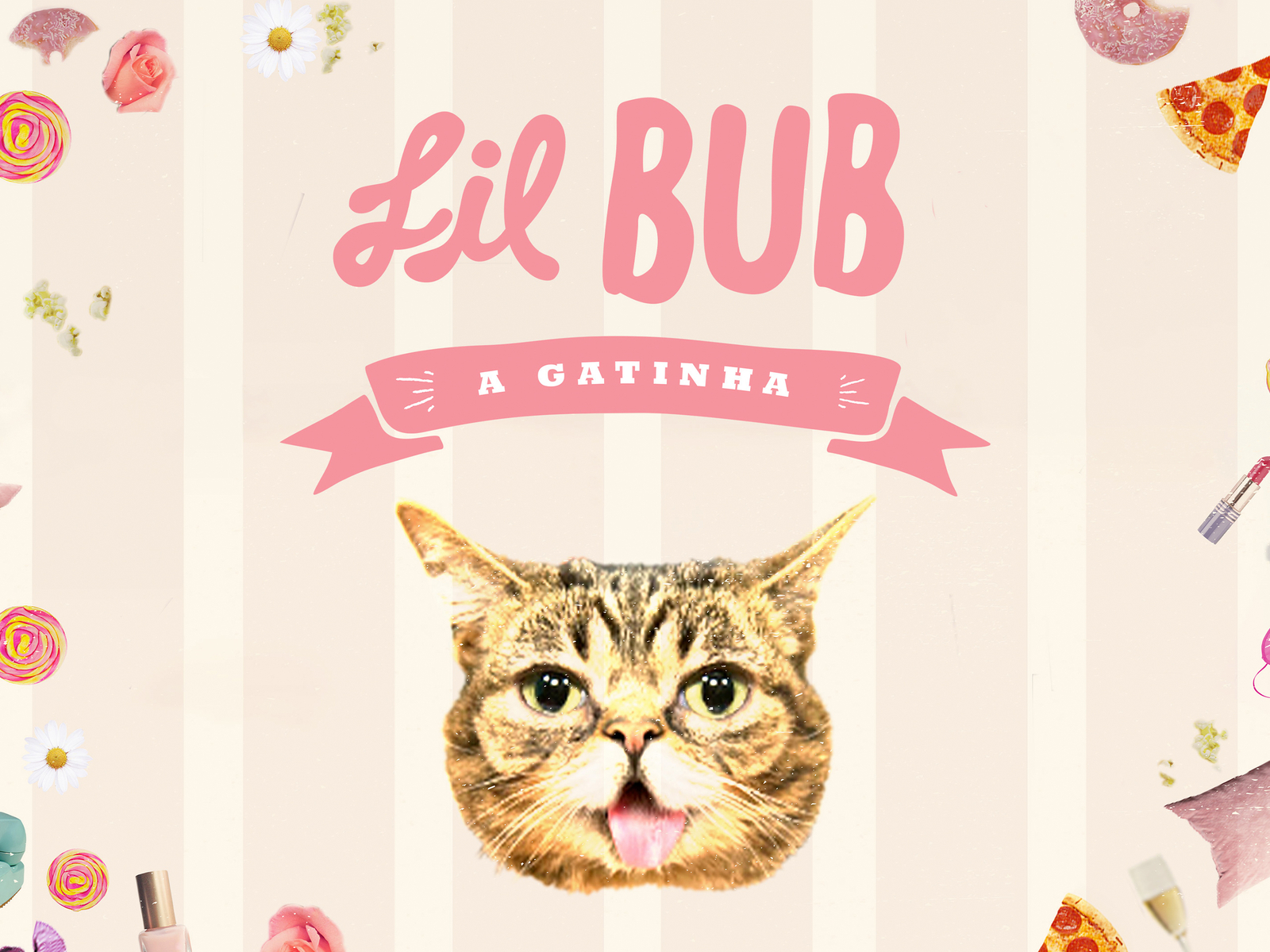 Lil Bub Wallpaper