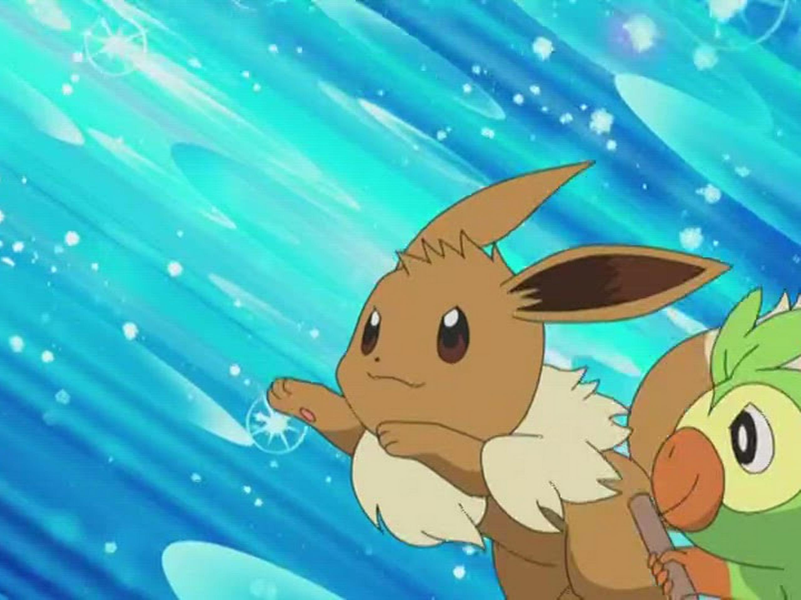 Prime Video: Pokémon - Saison 24