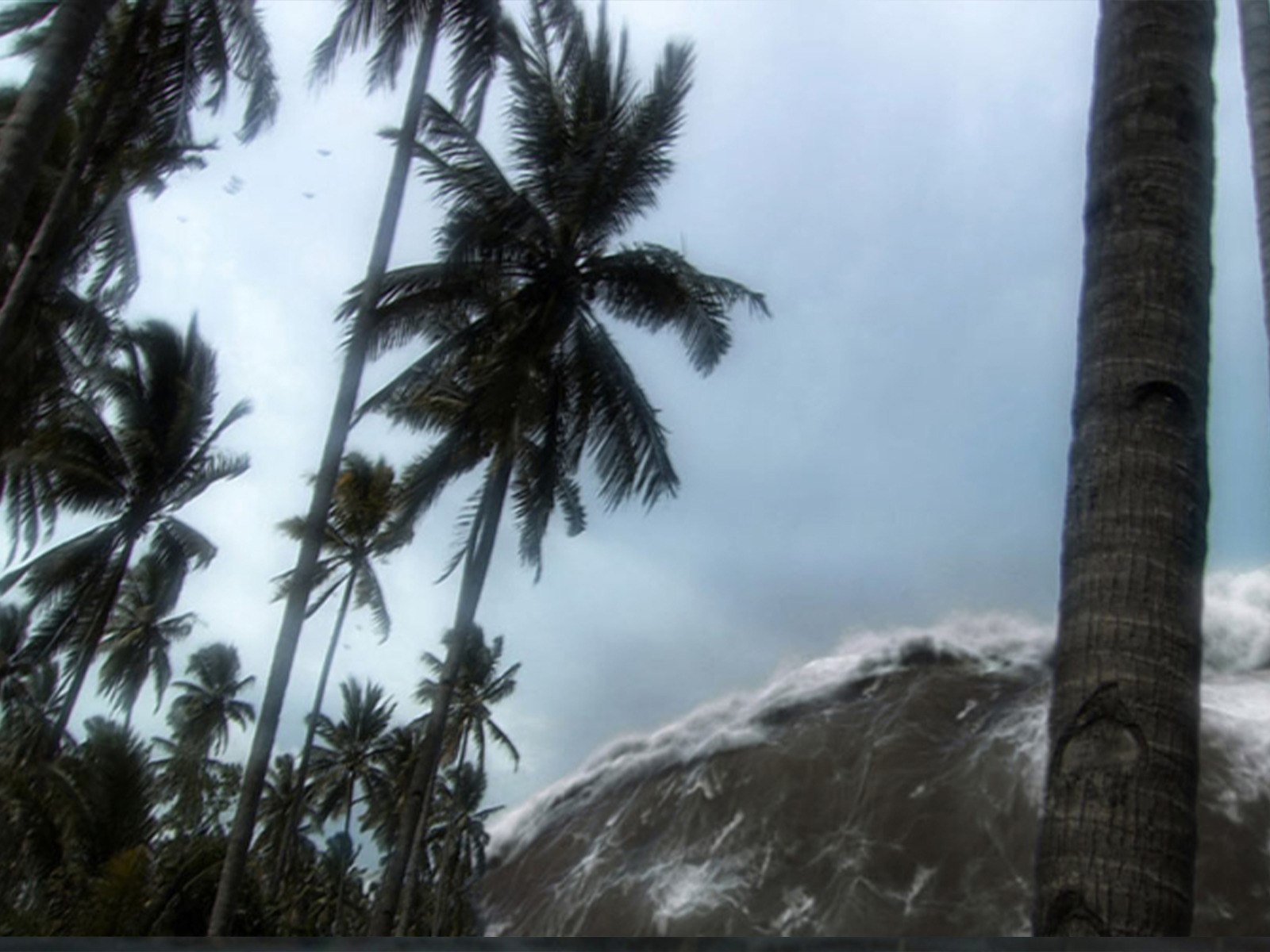 Prime Video: Seconds From Disaster