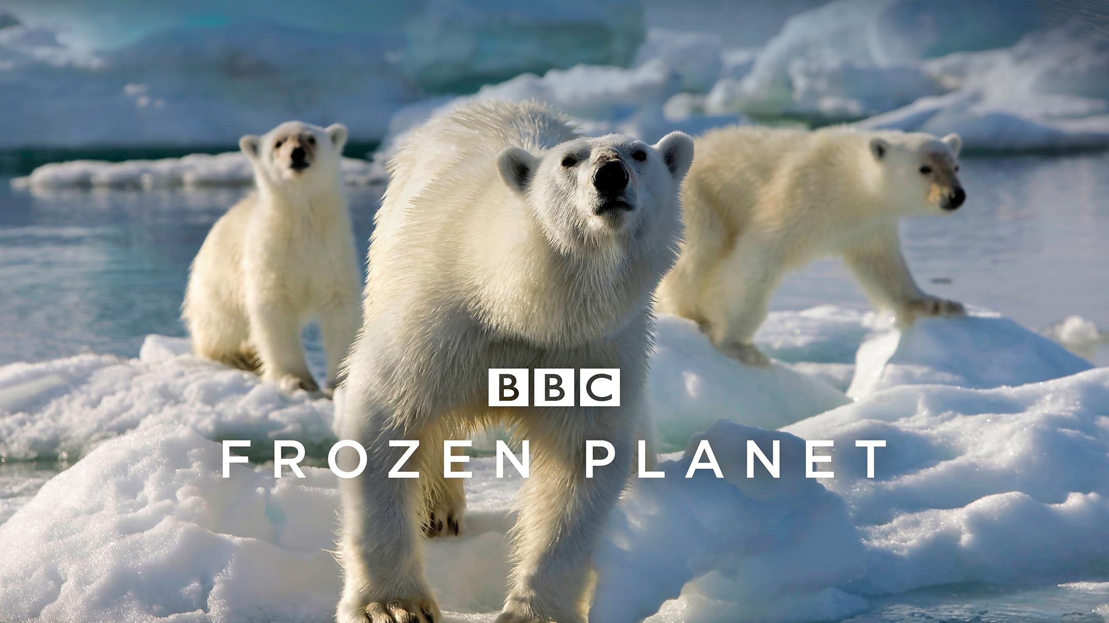 Watch Frozen Planet - Season 1 | Prime Video