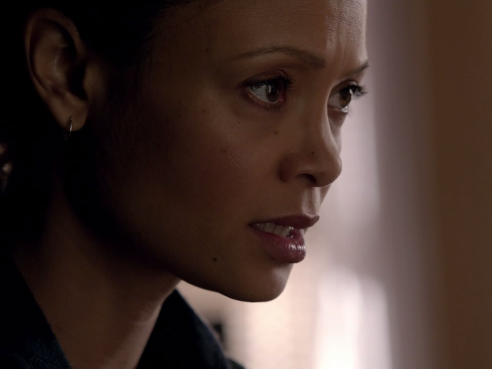 Prime Video: Rogue Season 2