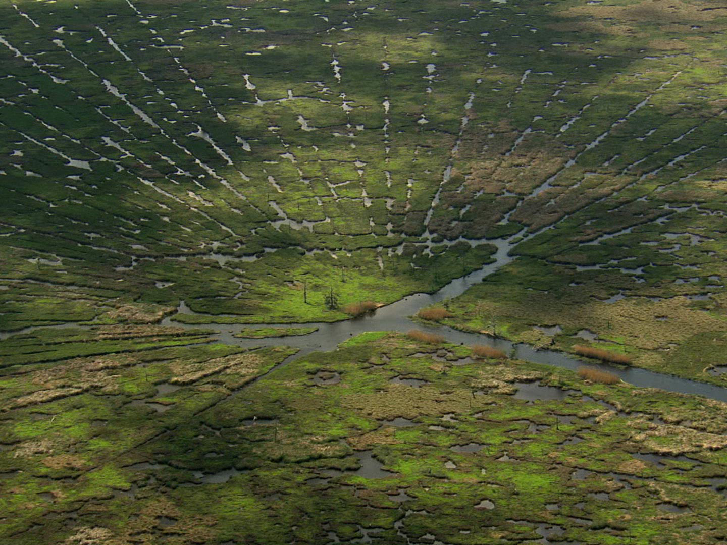 Prime Video: Aerial America - Season 5