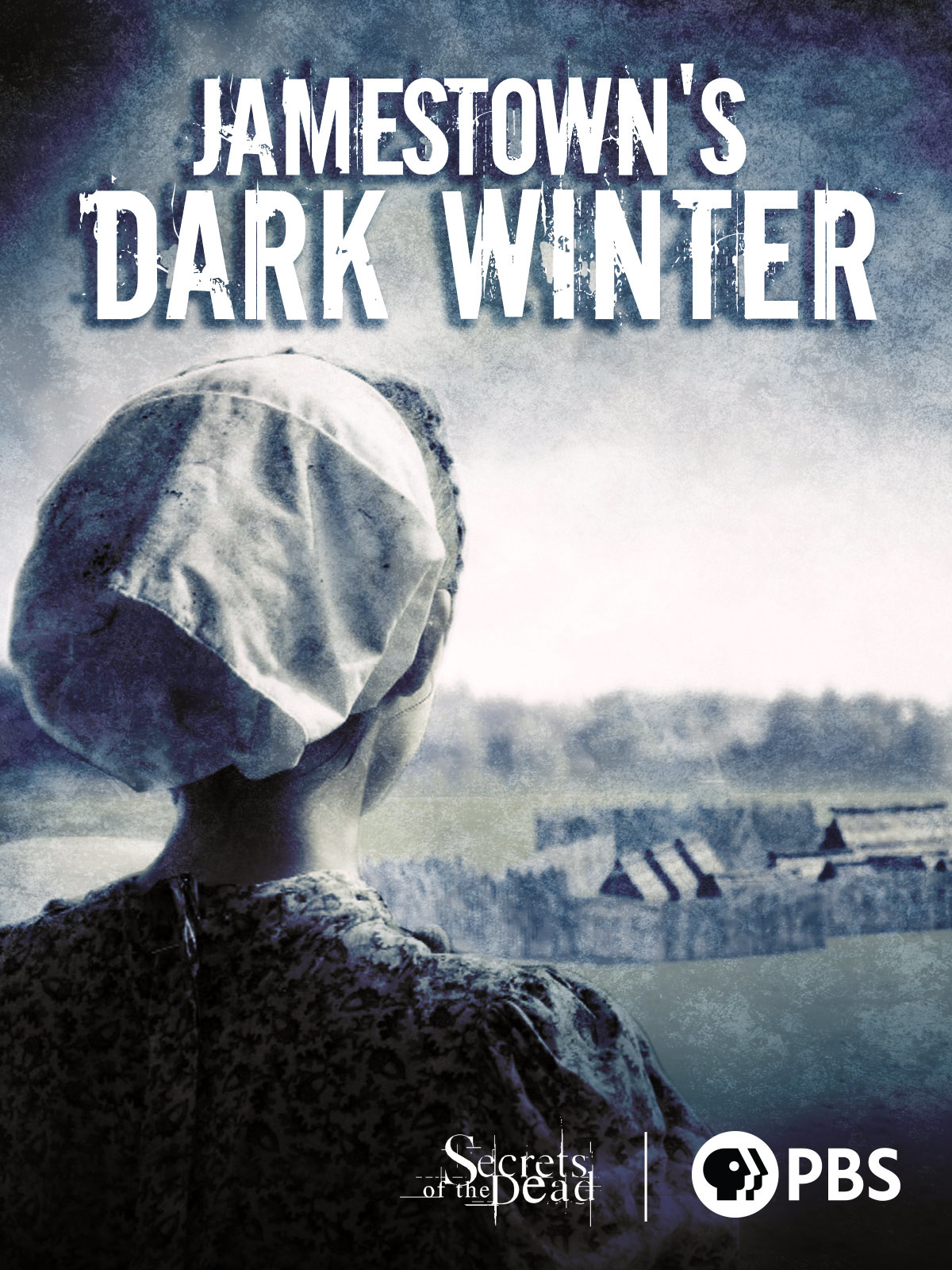 Prime Video: Jamestown's Dark Winter