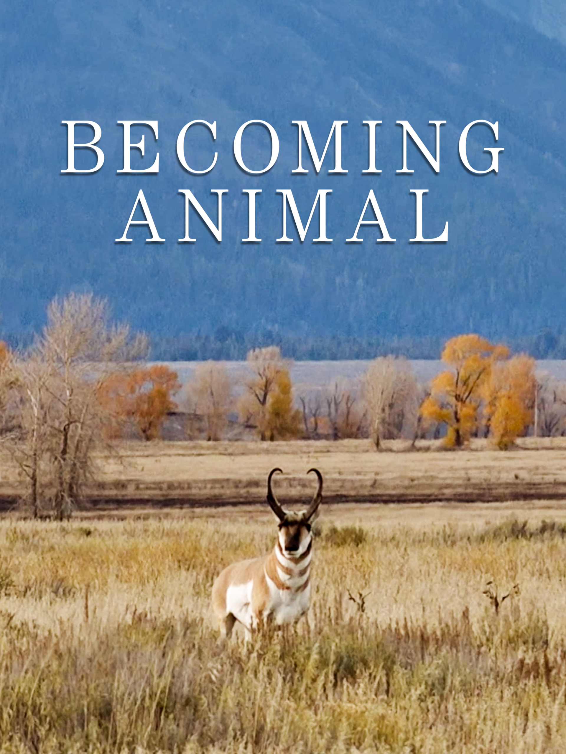 Prime Video: Becoming Animal