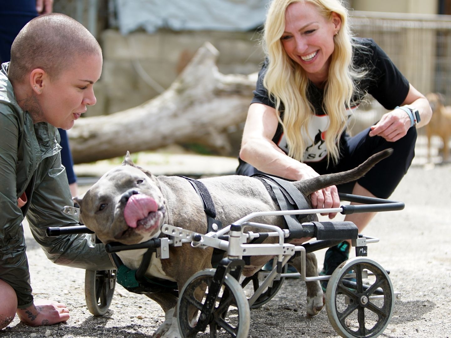 Prime Video: Amanda to the Rescue - Season 1