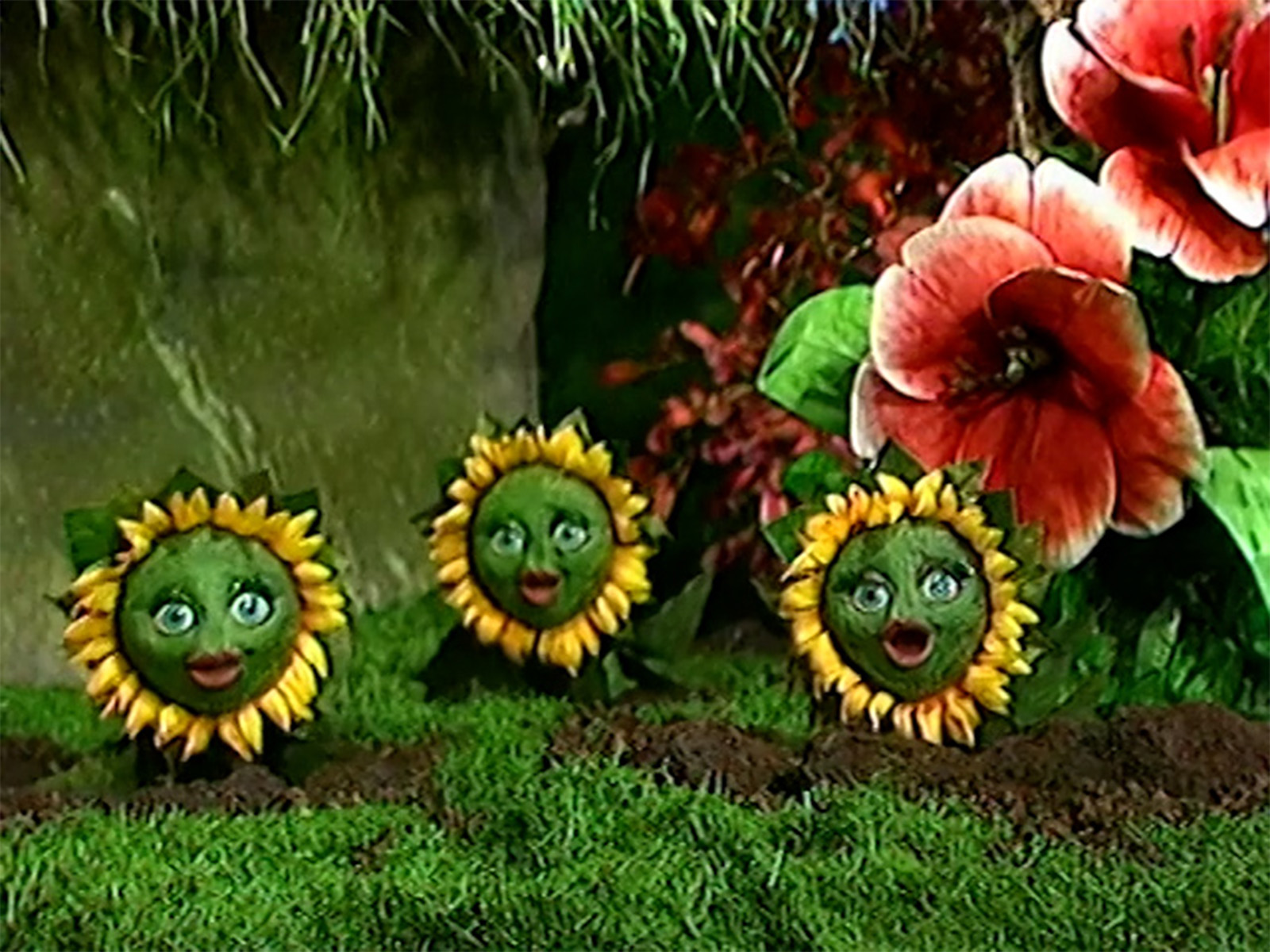 Prime Video: Bingo & Molly