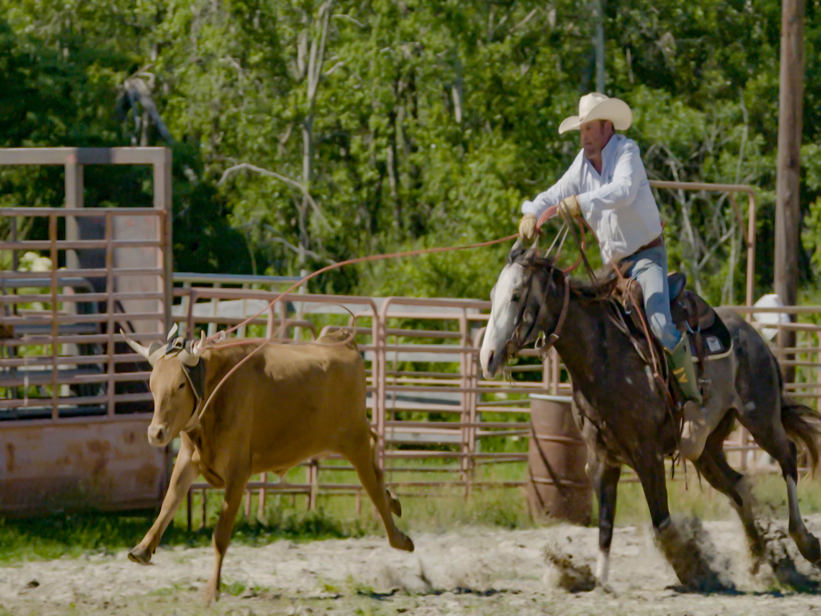 Prime Video: Ultimate Cowboy Showdown