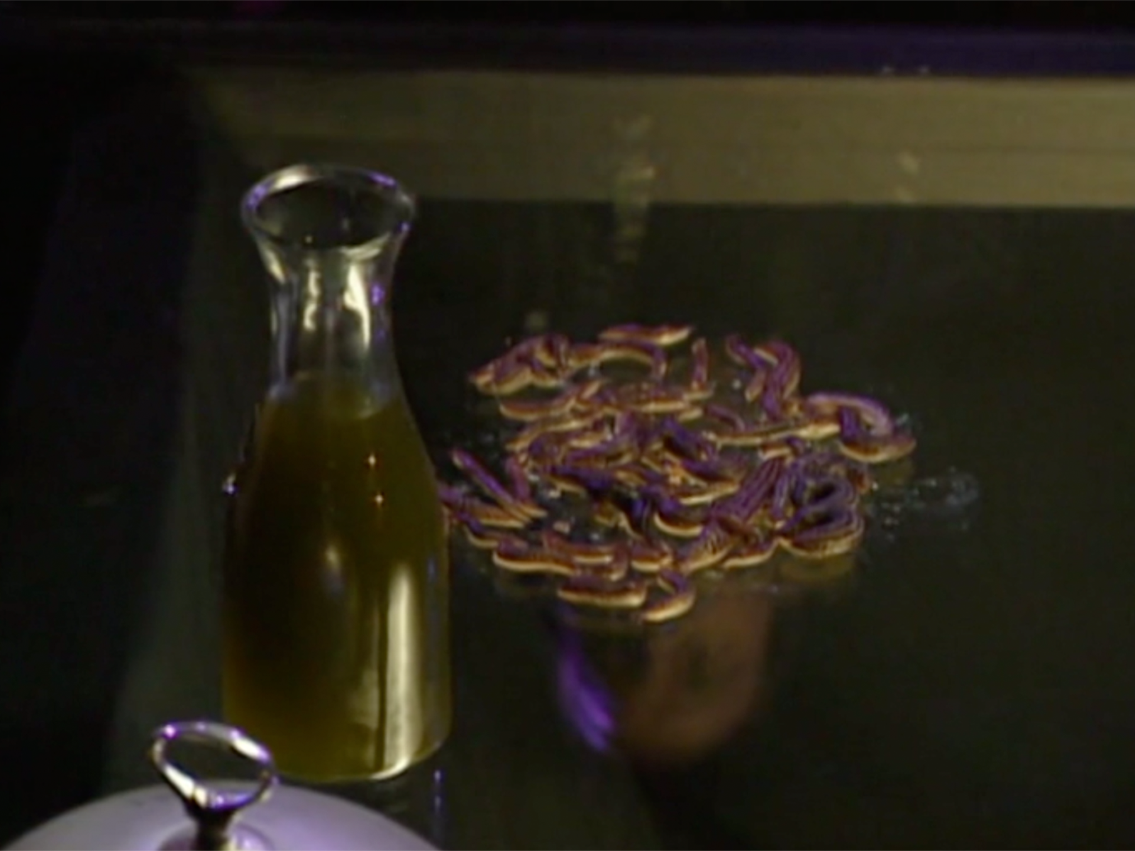 Prime Video: Fear Factor