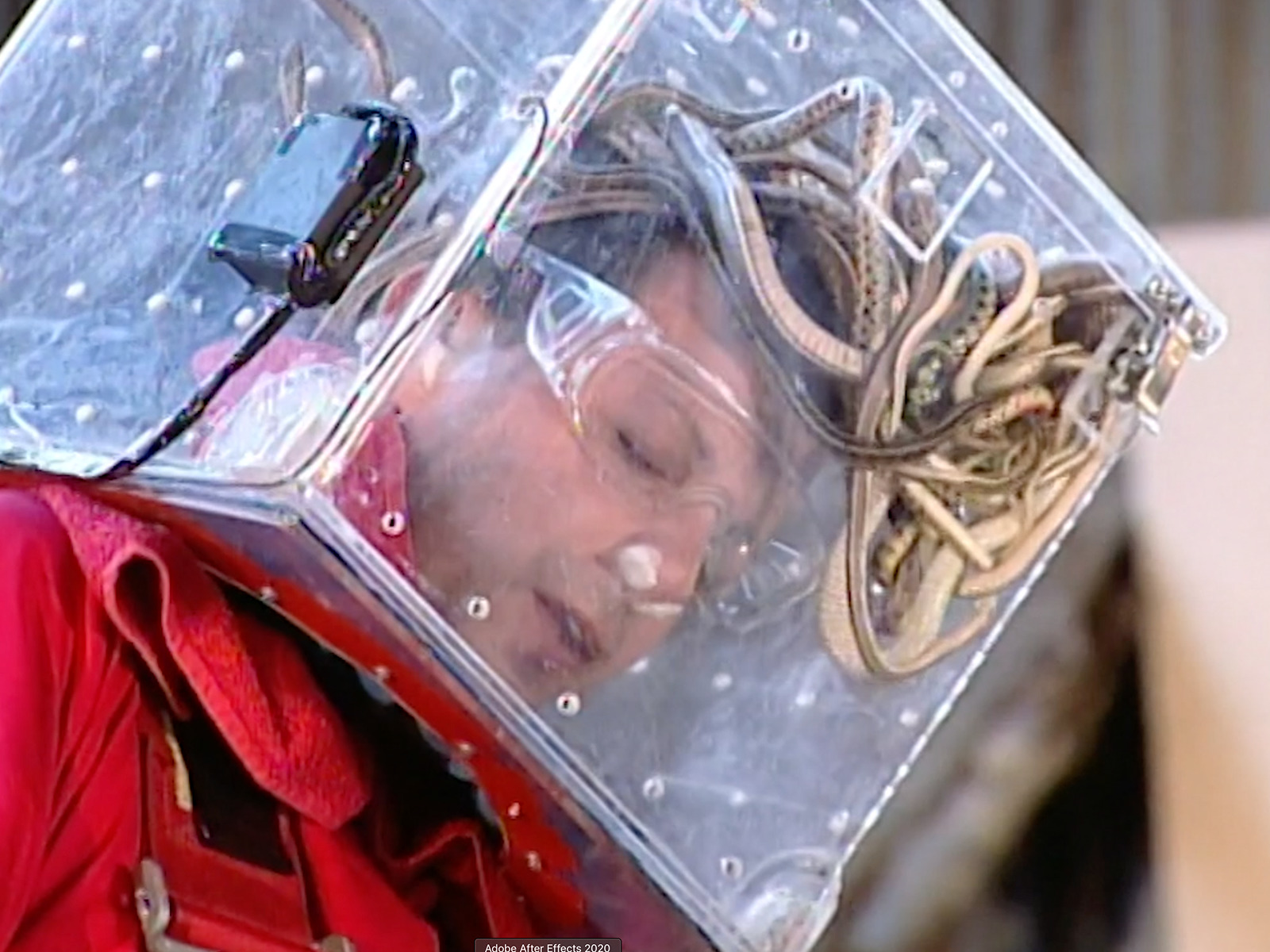 Prime Video: Fear Factor UK