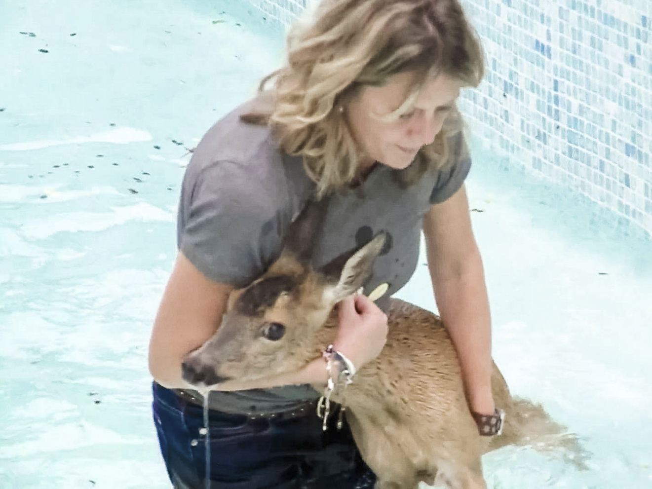 Prime Video: Wildlife SOS - Season 1