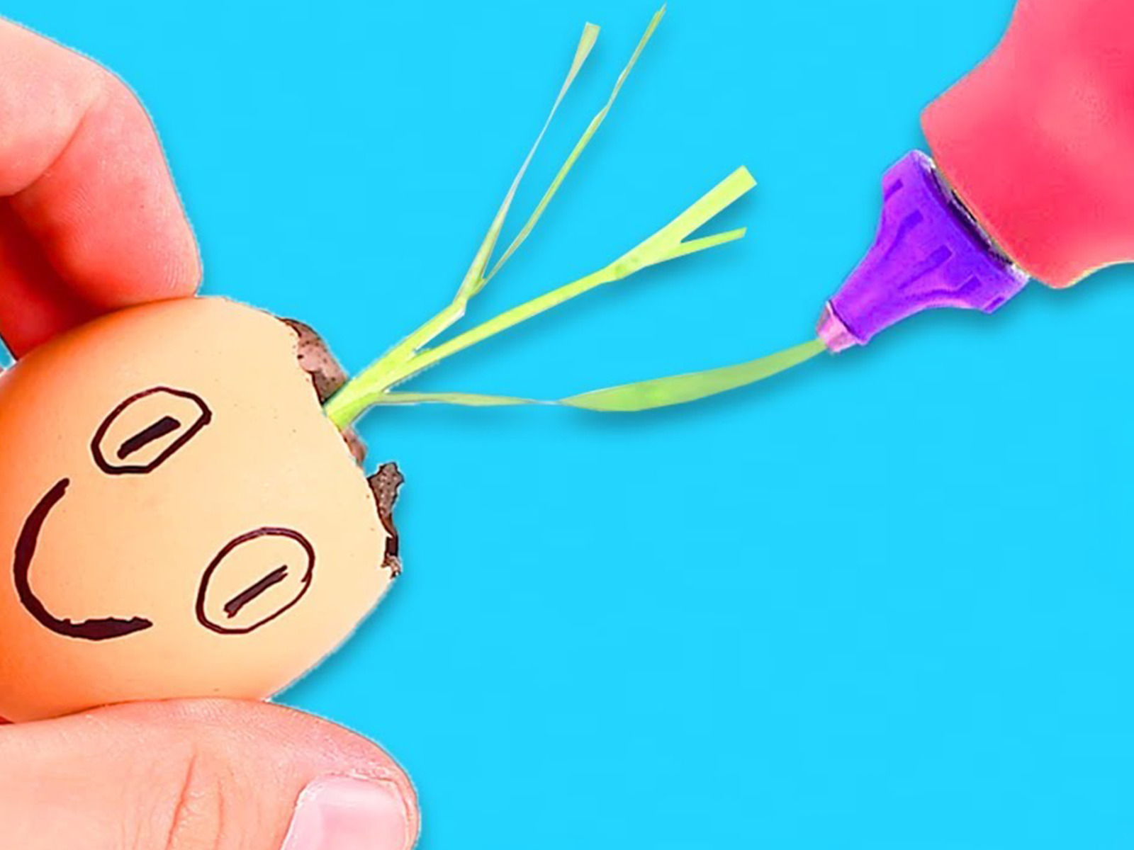 Prime Video: The Crafty