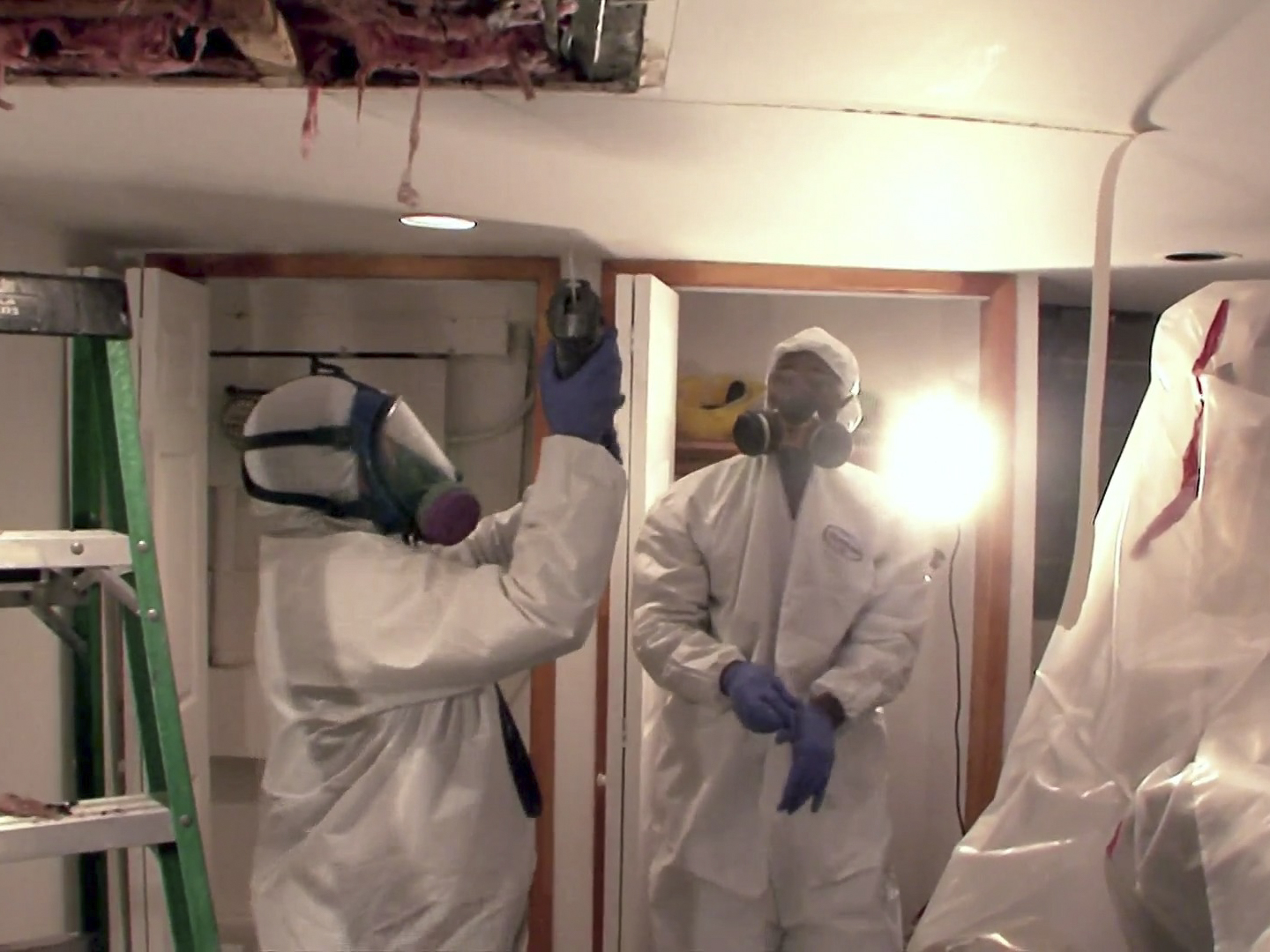 Prime Video: Rat Busters NYC - Season 1