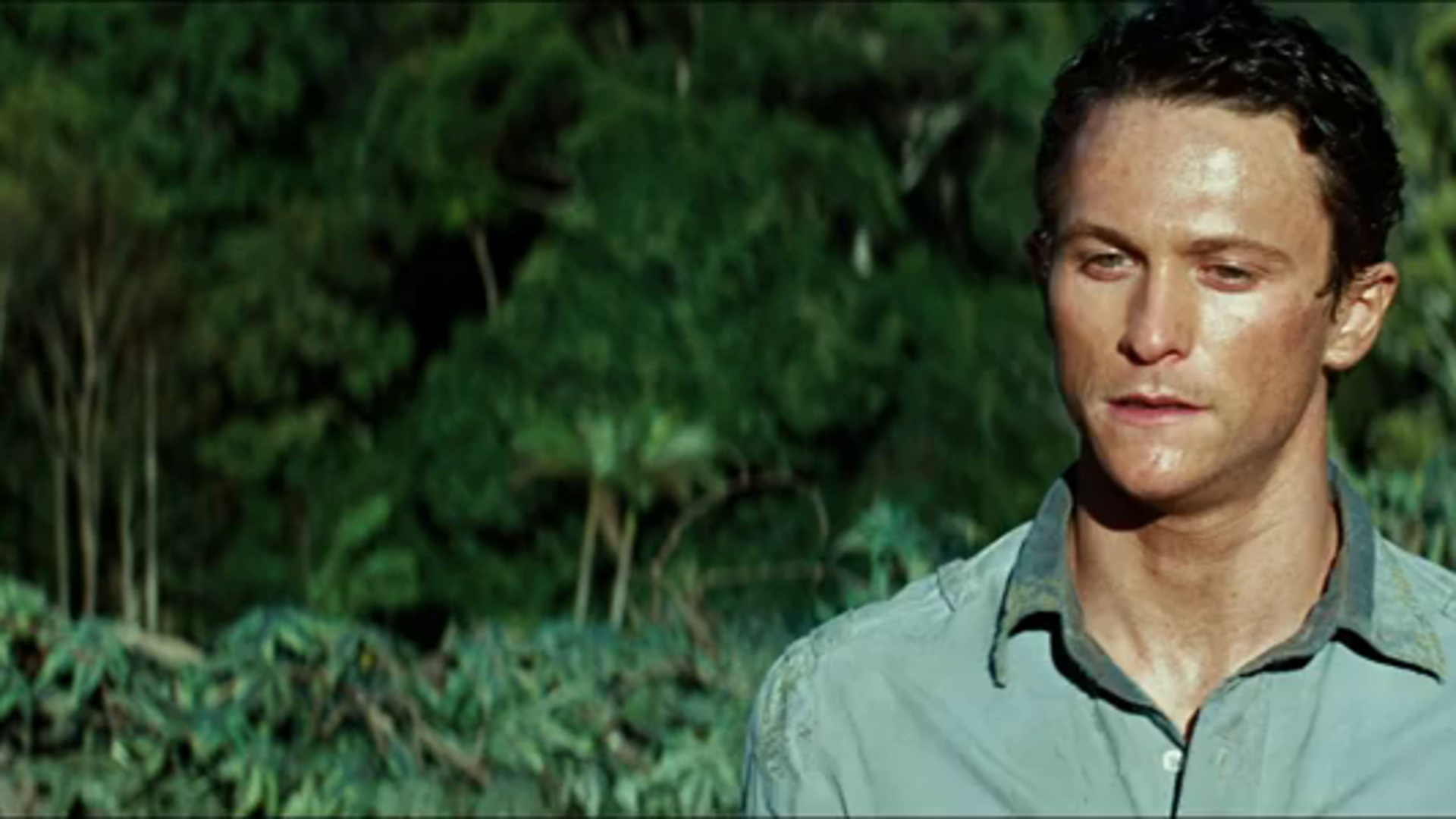 The Ruins Movie Vines