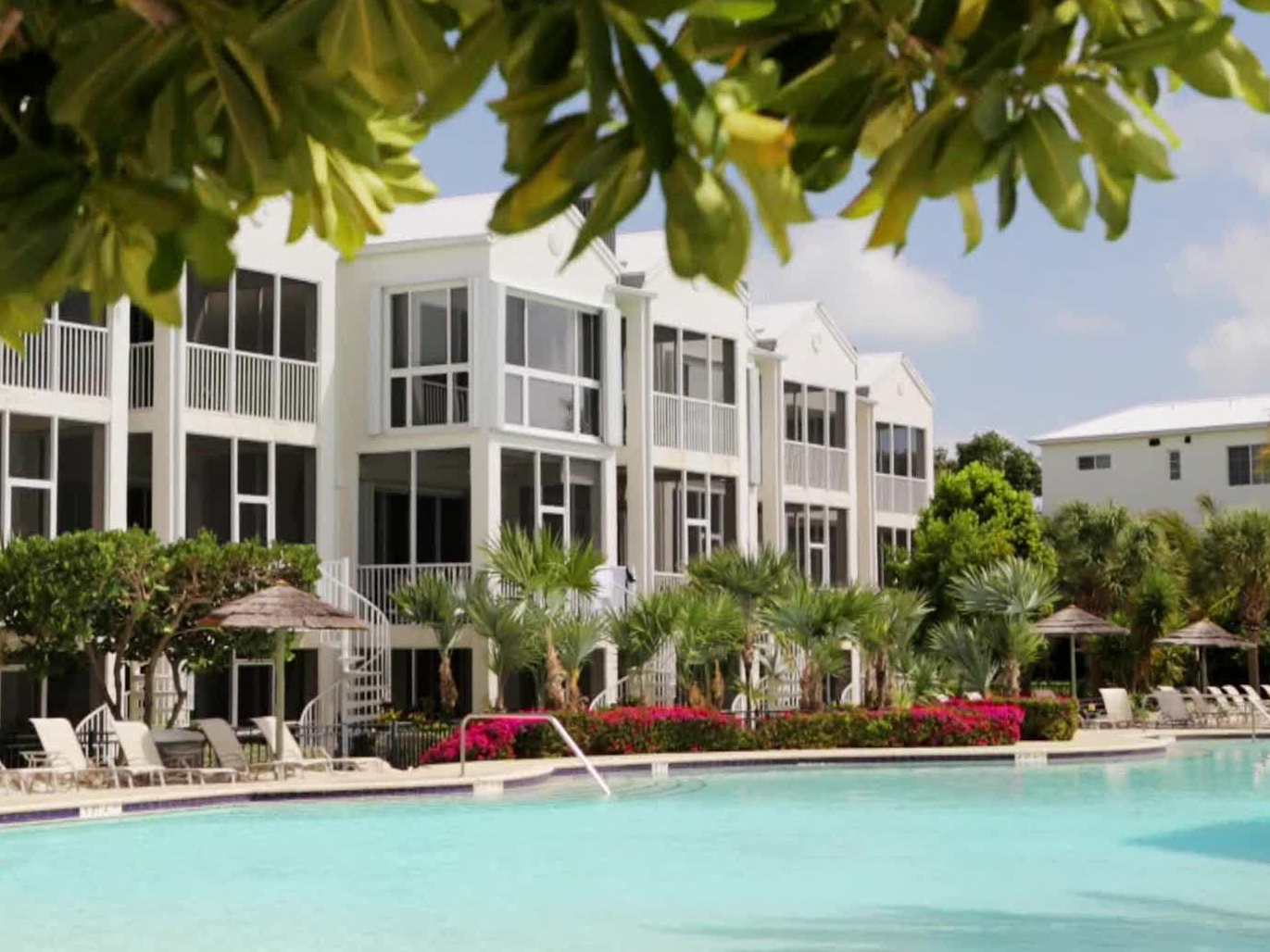 Prime Video: Island Life - Season 1