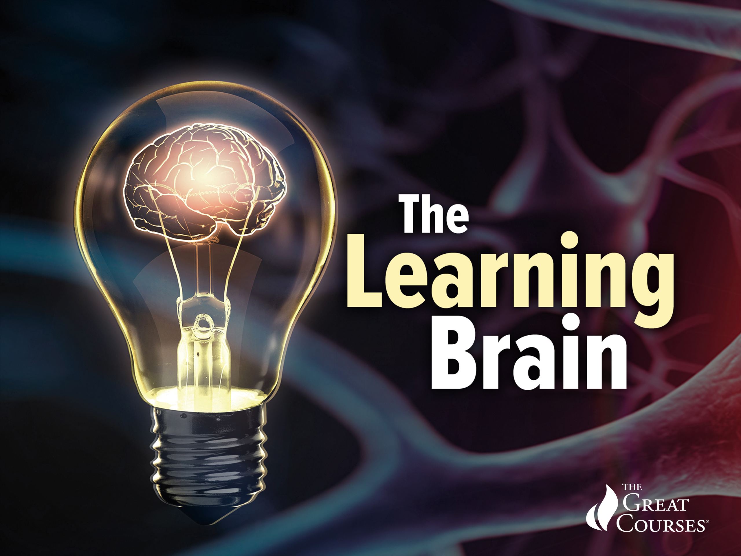 Prime Video: The Learning Brain