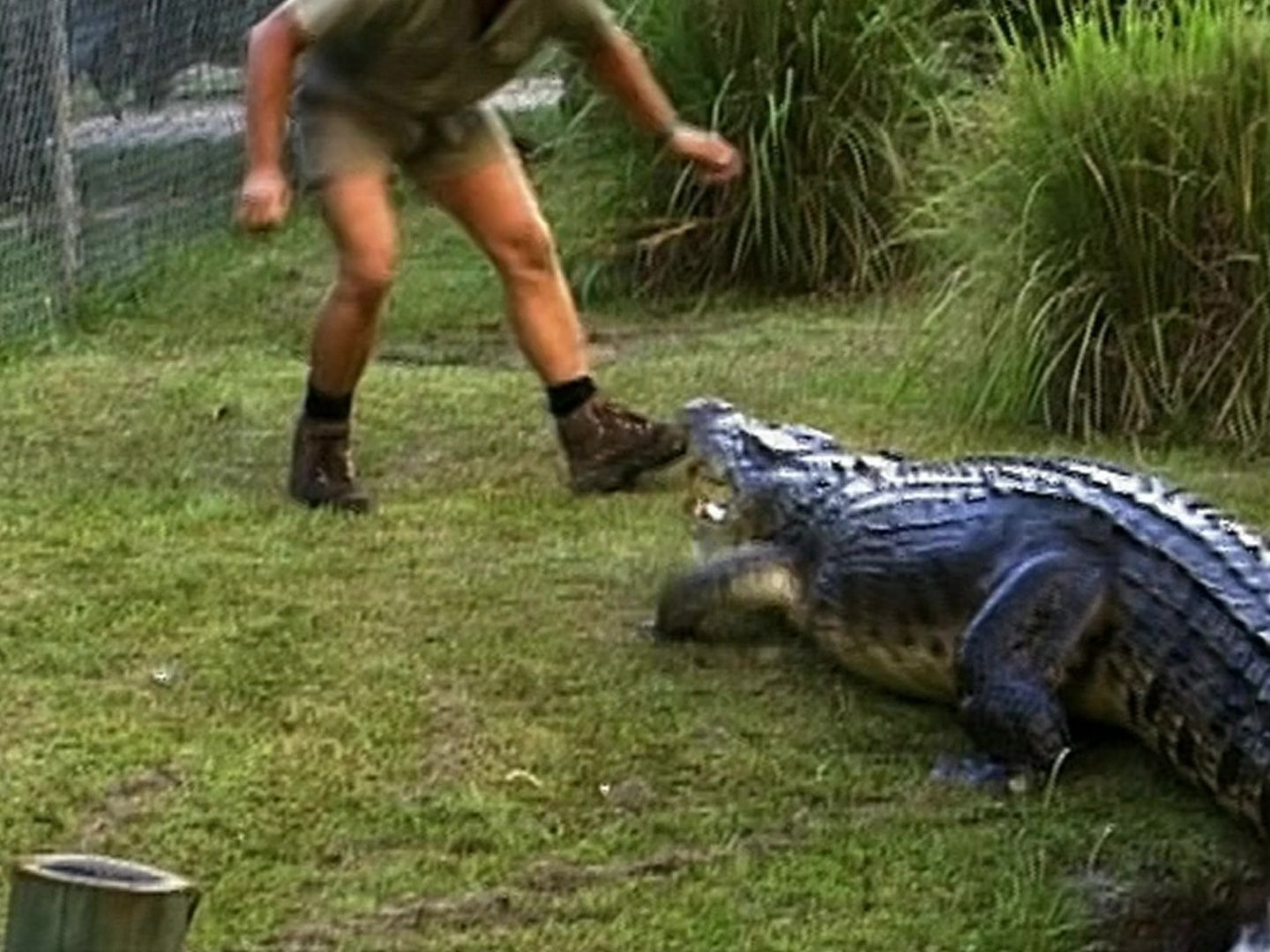 Prime Video: Crocodile Hunter Diaries - Season 1