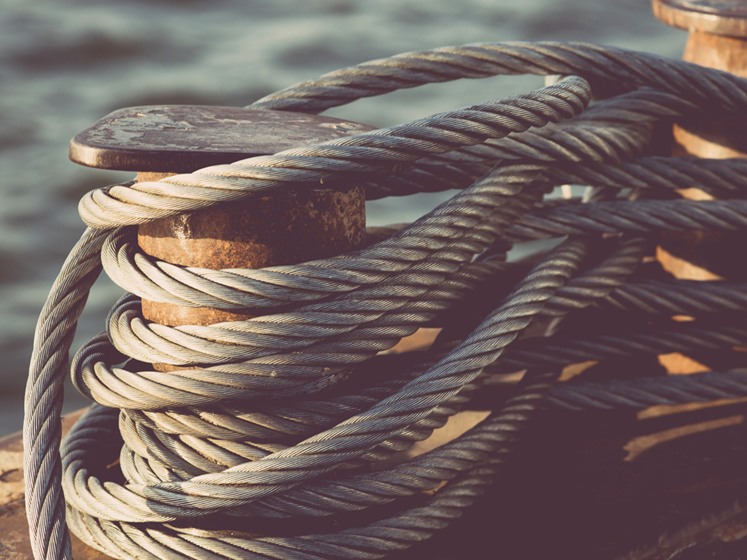 Prime Video: The Black Death: The World's Most Devastating Plague