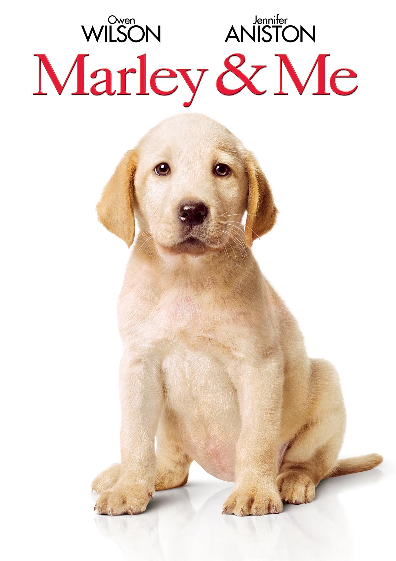 Prime Video: Marley & Me: Casting Session