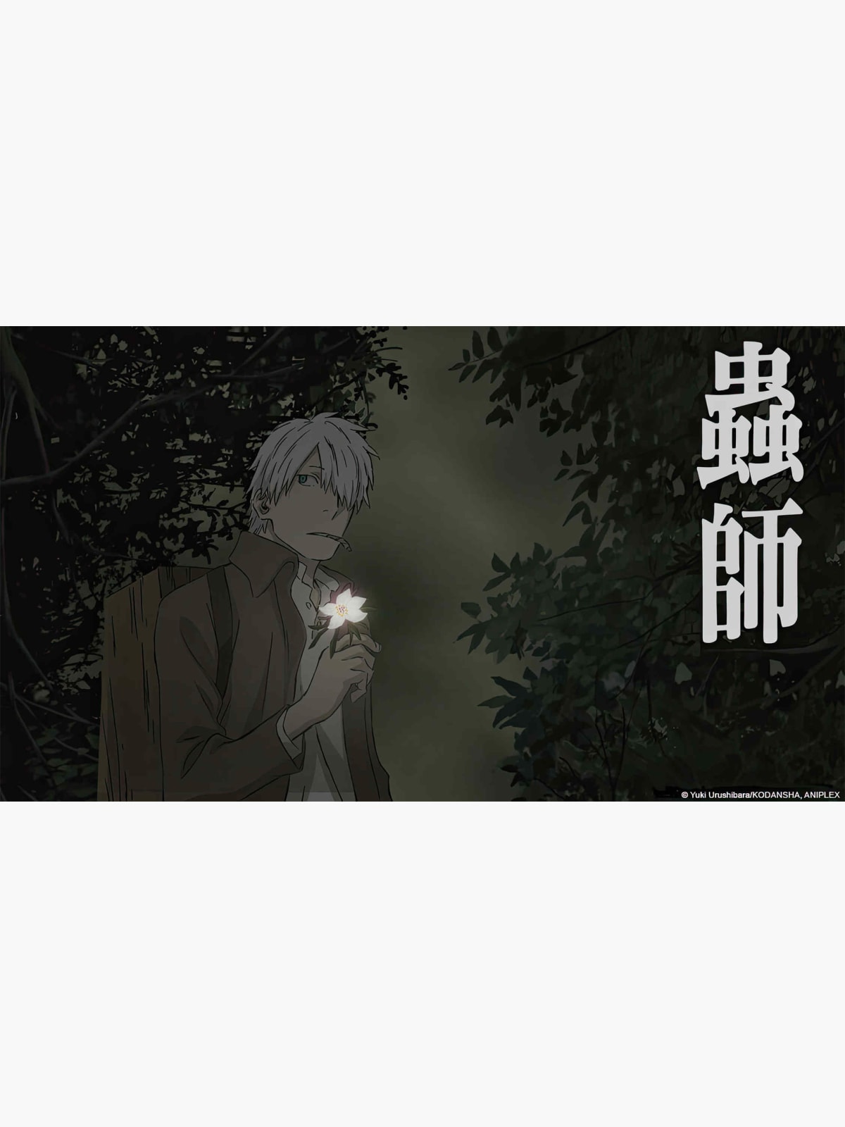 Prime Video: MUSHI-SHI OVA