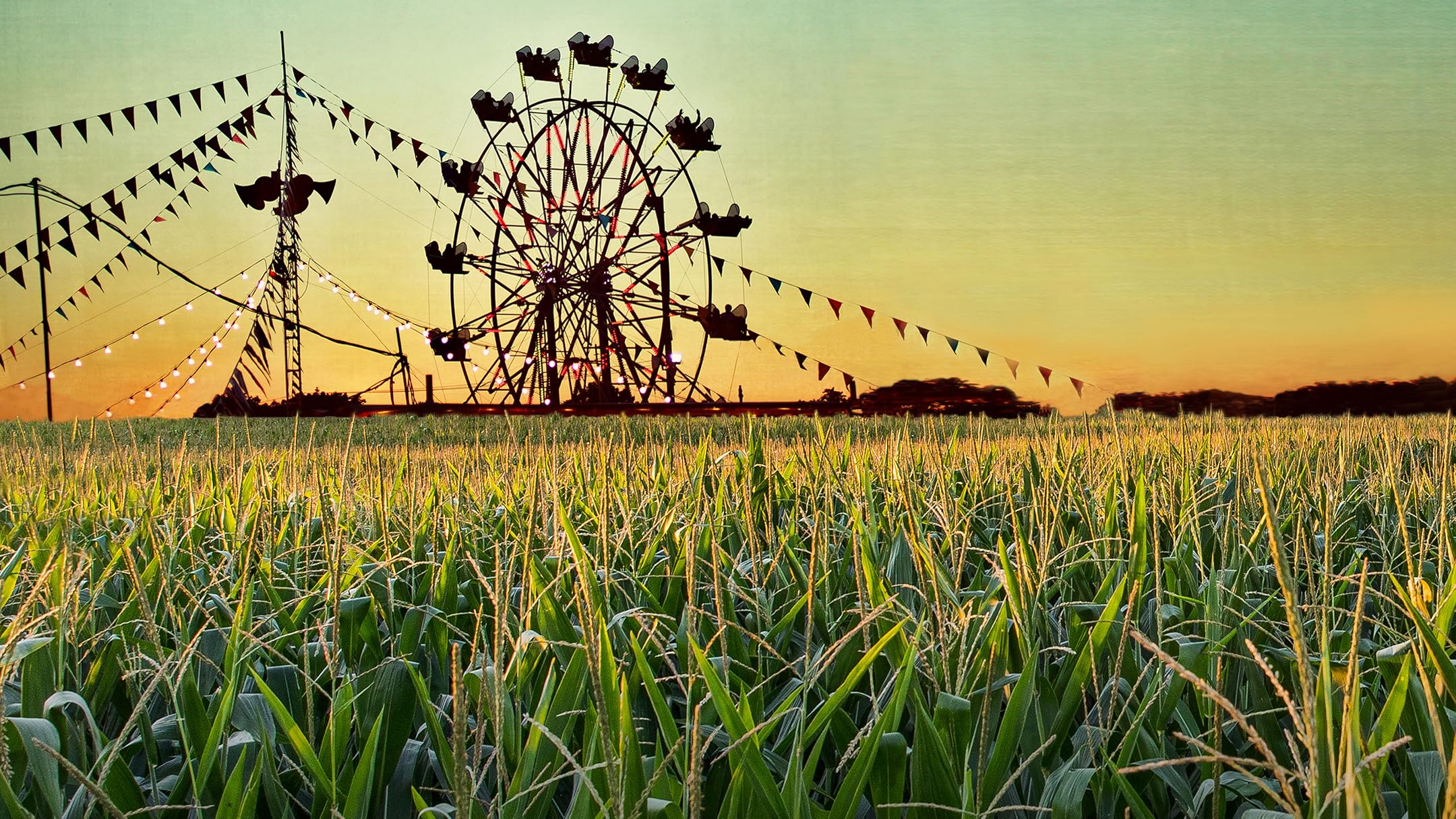 Watch Corn - Season 1 | Prime Video