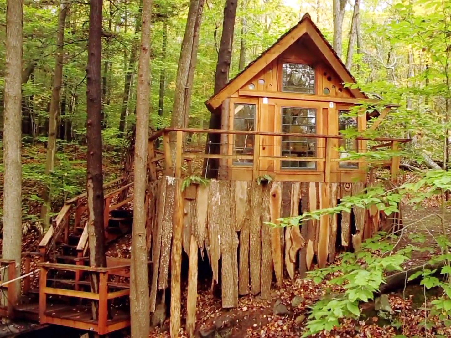 Prime Video: Ultimate Treehouses - Season 1