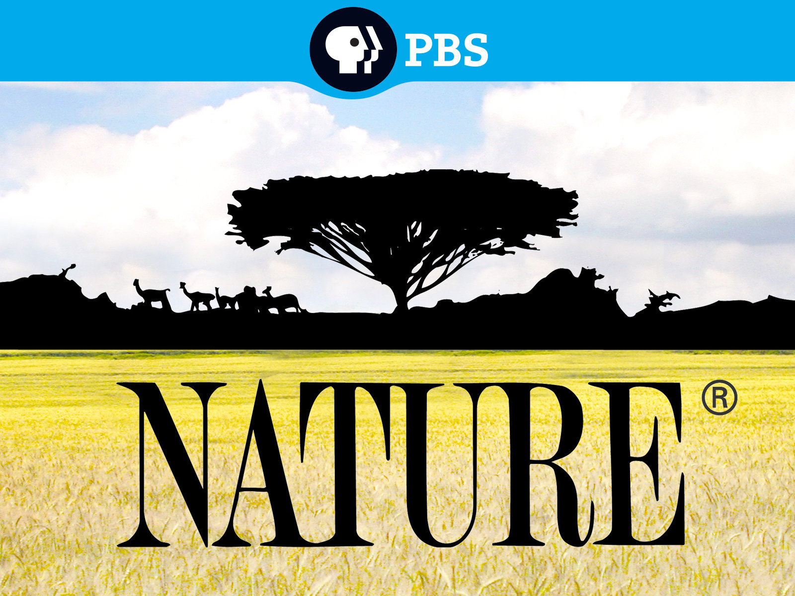 Pbs Nature Logo