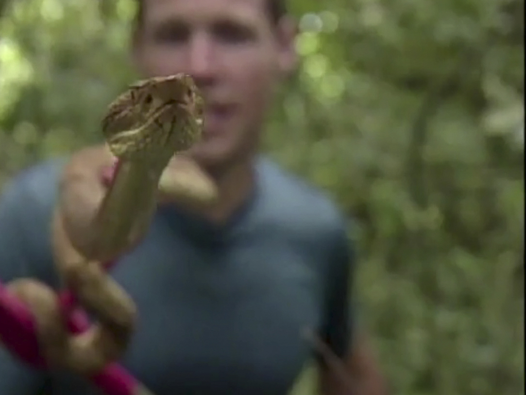 Prime Video: The Jeff Corwin Experience - Season 1