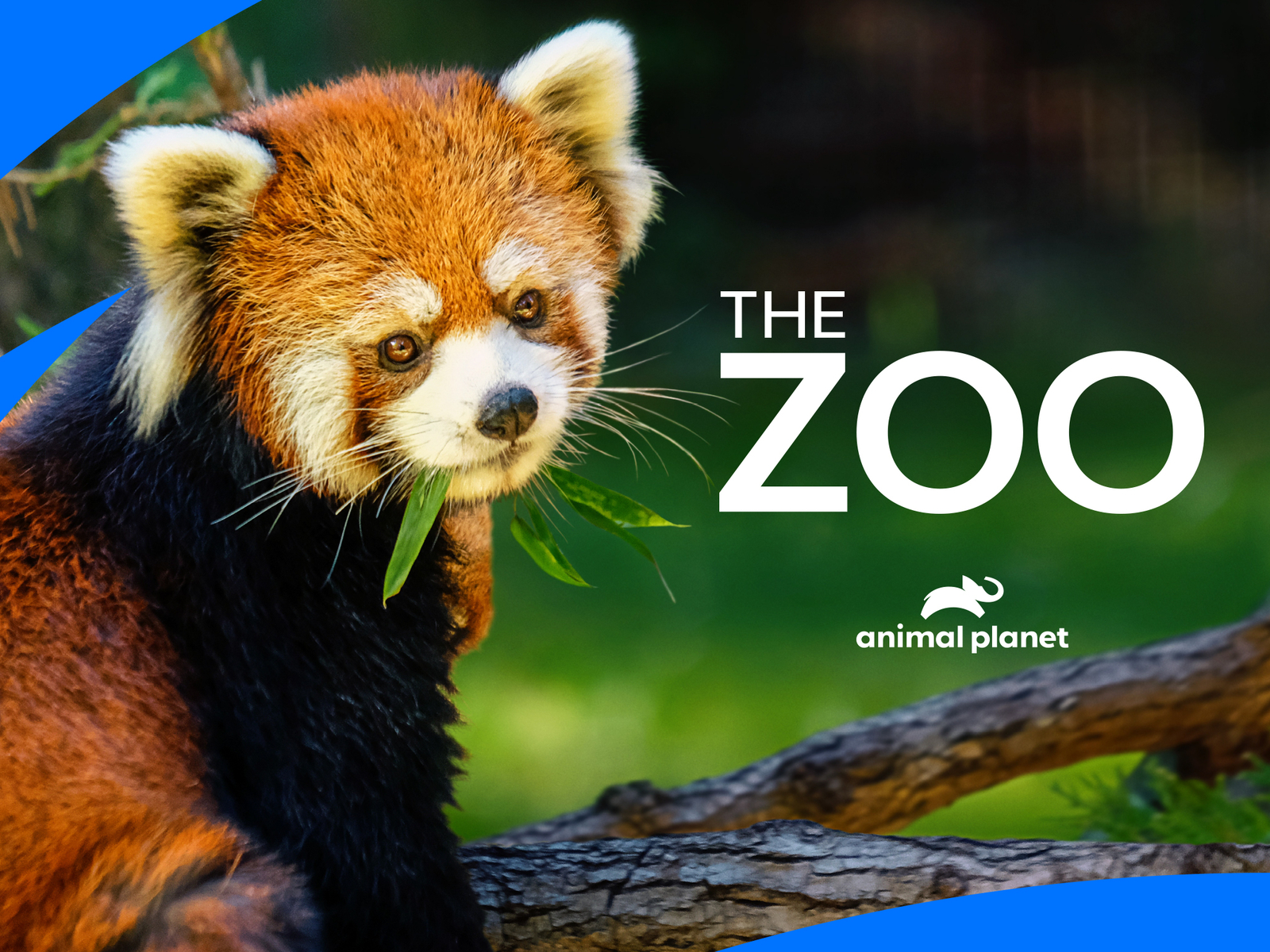 Prime Video: The Zoo - Season 4