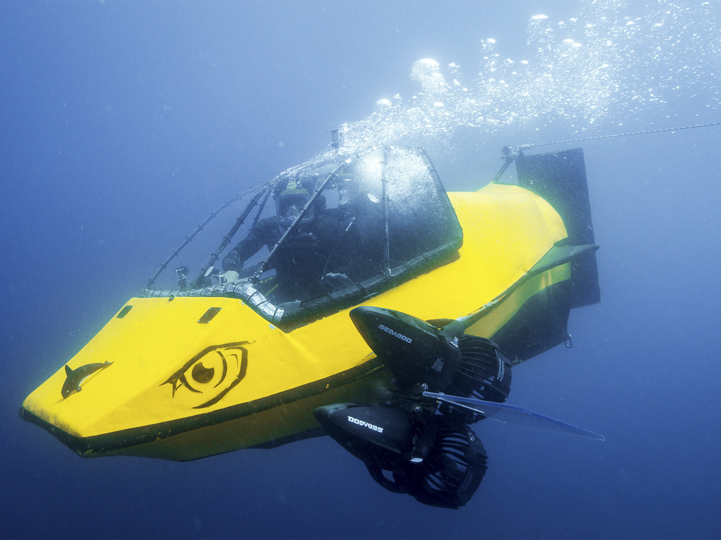 Prime Video: Shark Week - Season 2015