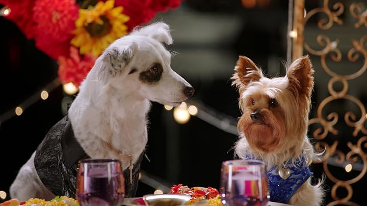 Pup Star: World Tour : David DeLuise, Kaitlyn Maher, Makenzie Moss, Jed ...