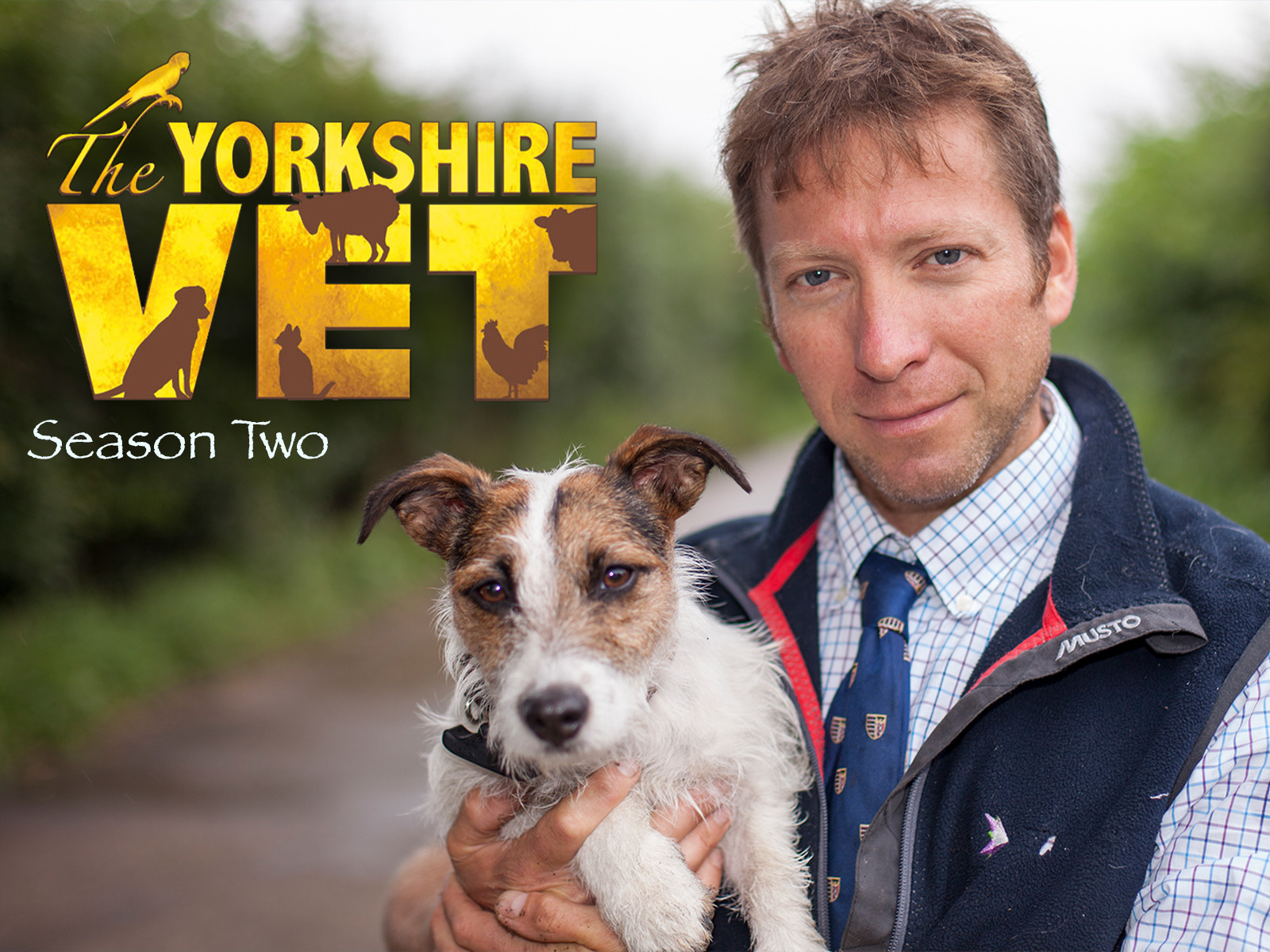 Prime Video: The Yorkshire Vet