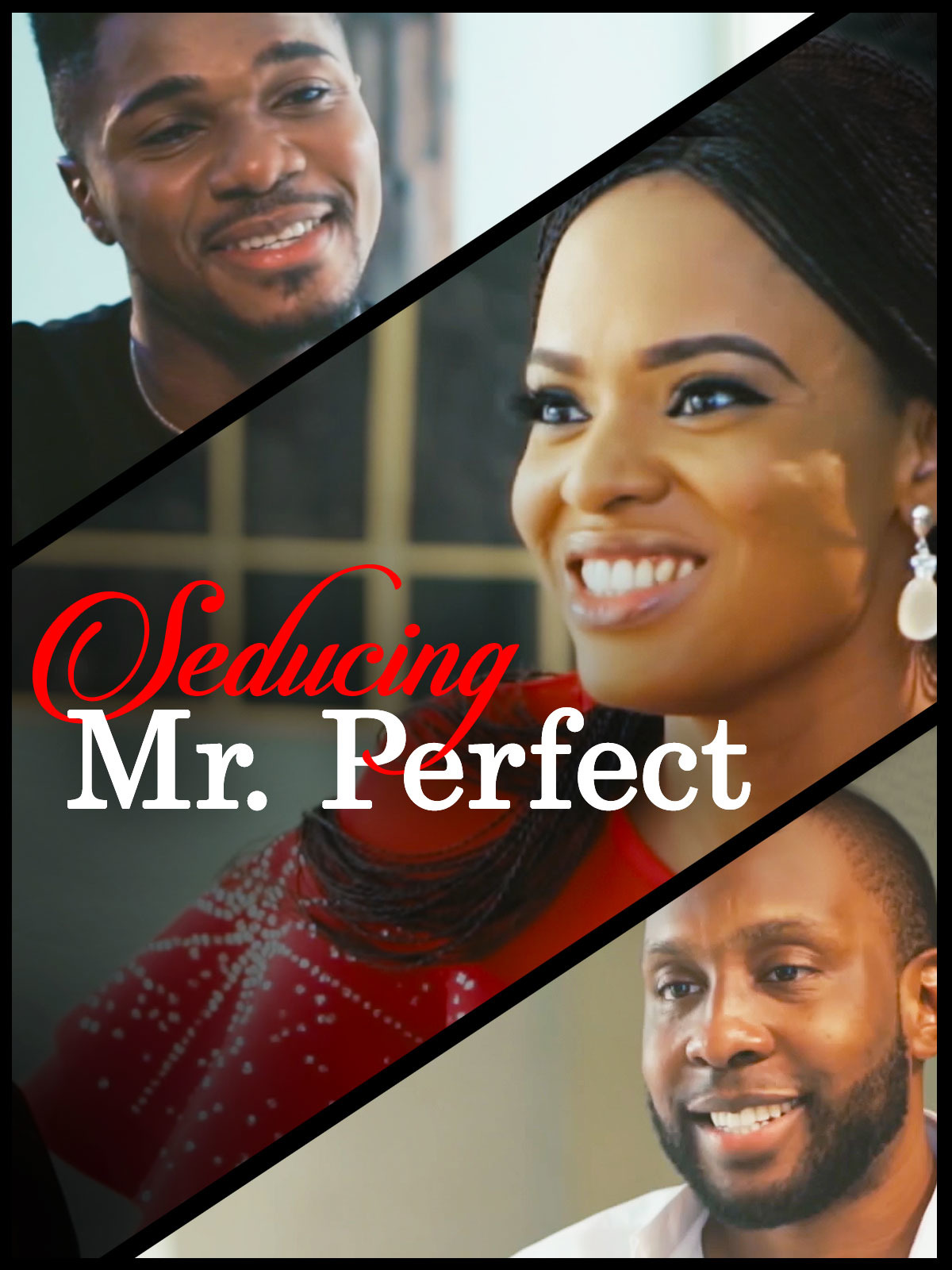 Prime Video: Seducing Mr. Perfect