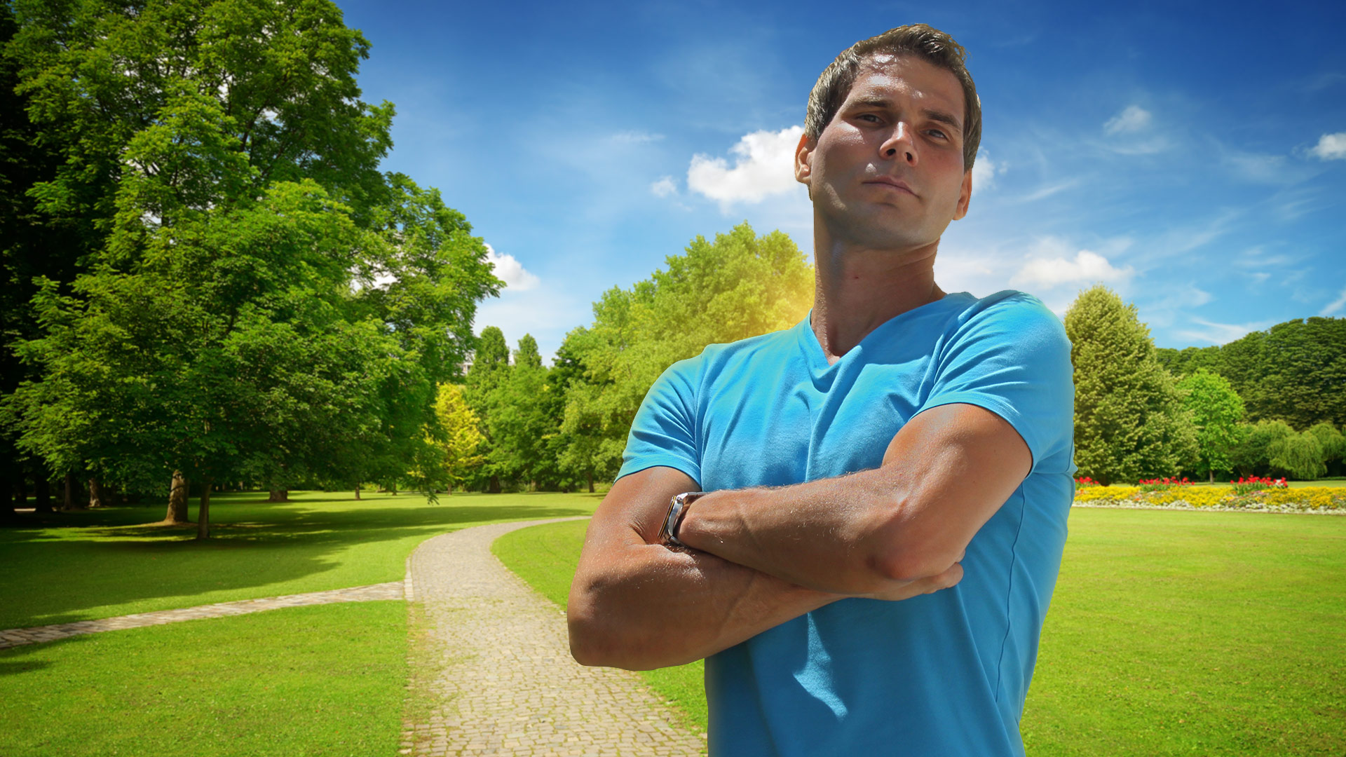 Watch Tibor to the Rescue | Prime Video