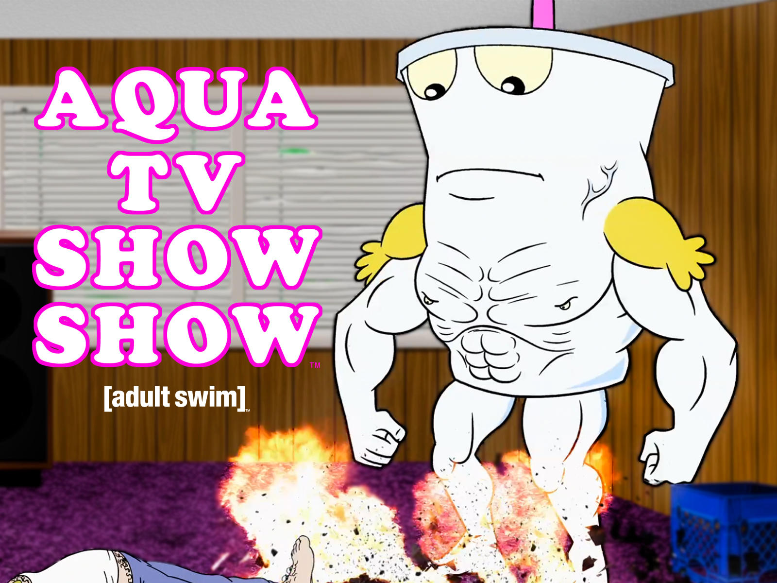 Prime Video: Aqua TV Show Show Season 1