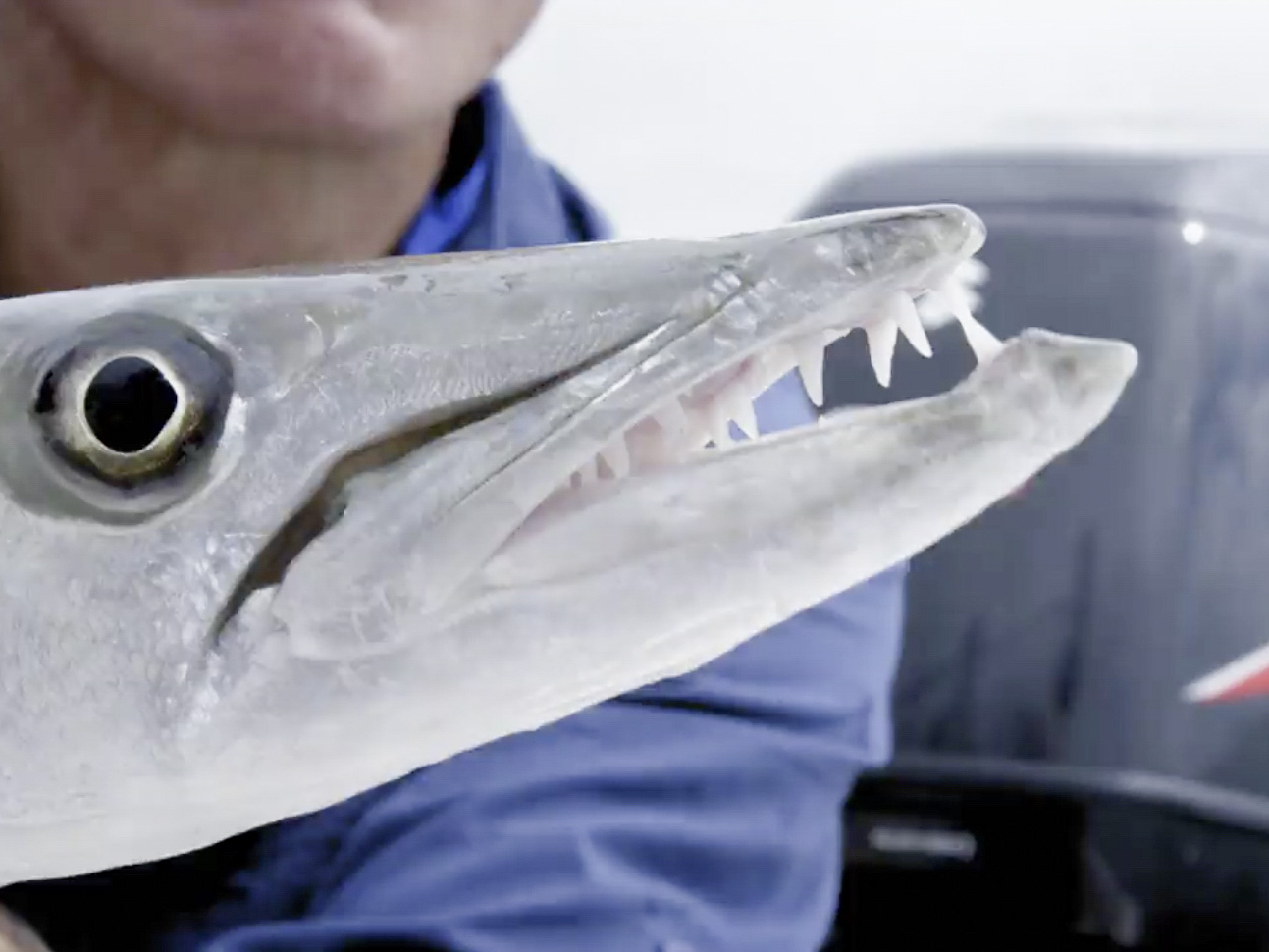 Prime Video: River Monsters - Season 8