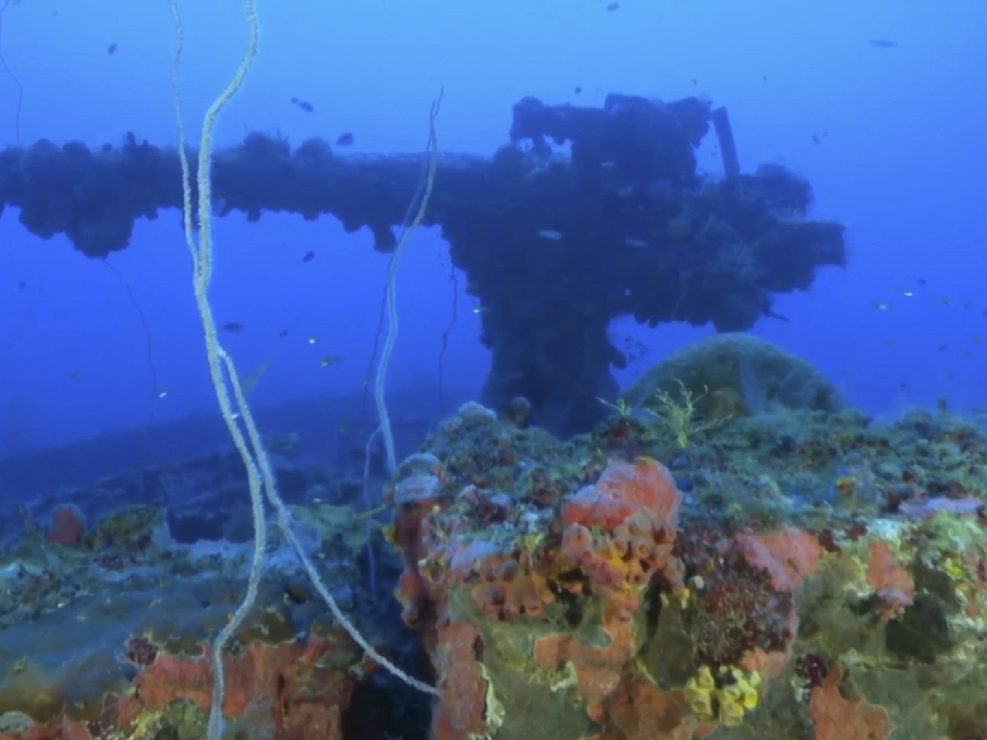 Prime Video: Shipwreck Secrets - Season 1