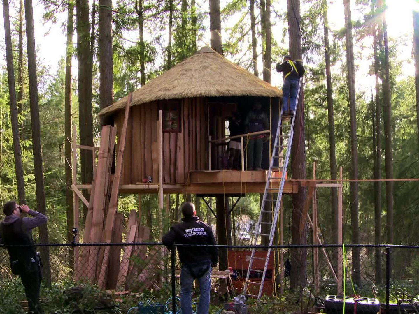 Prime Video: Treehouse Masters - Season 5