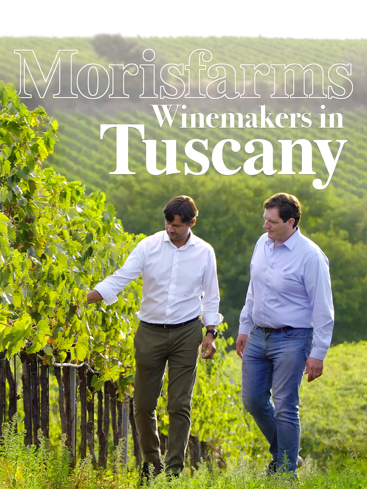 Prime Video: Morisfarms, Winemakers in Tuscany