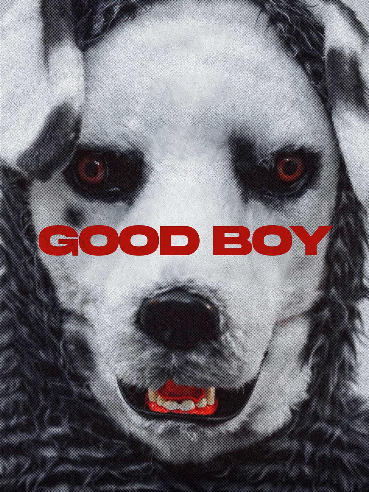 Prime Video: Good Boy
