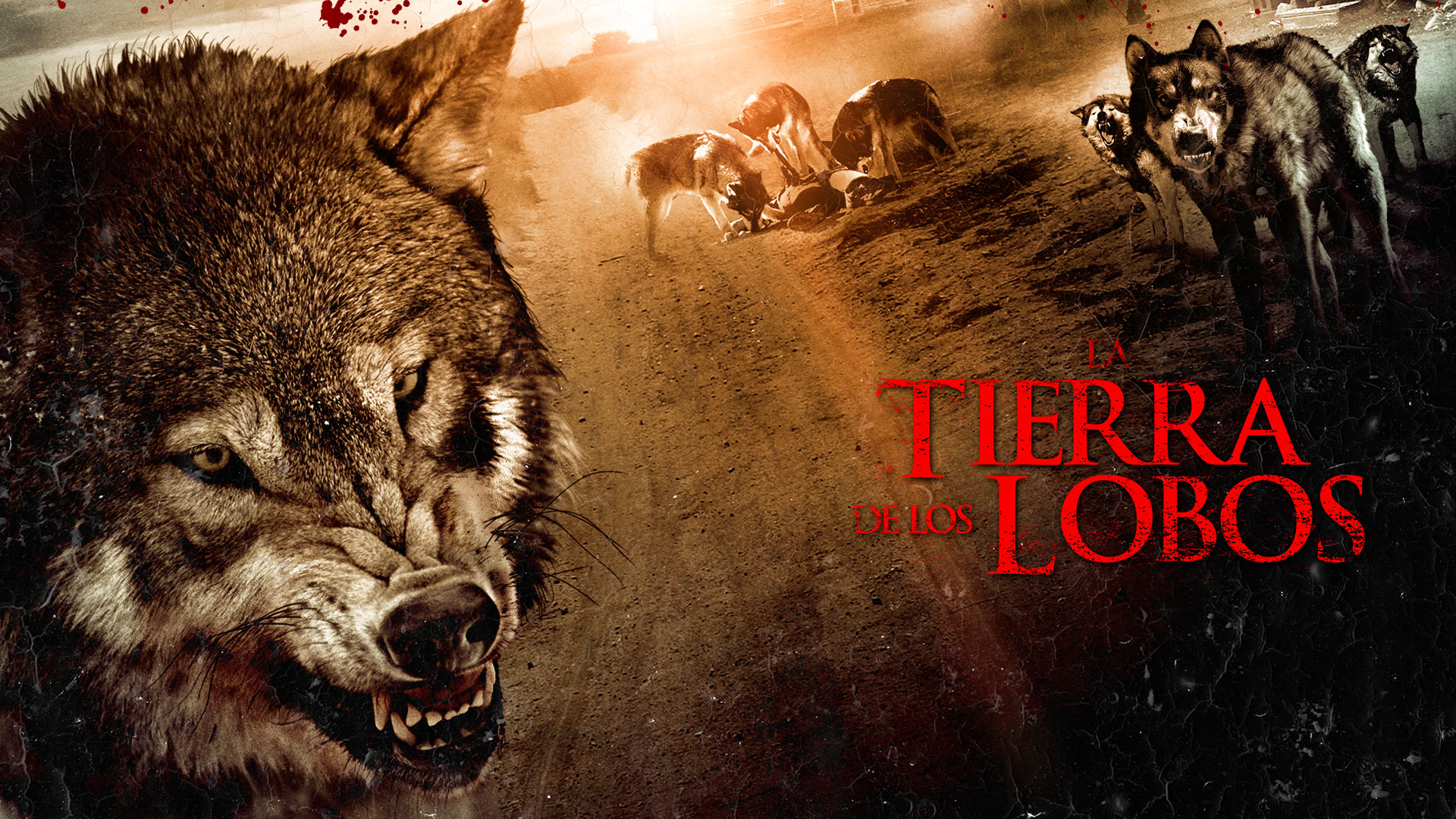 Prime Video: La Tierra de los Lobos