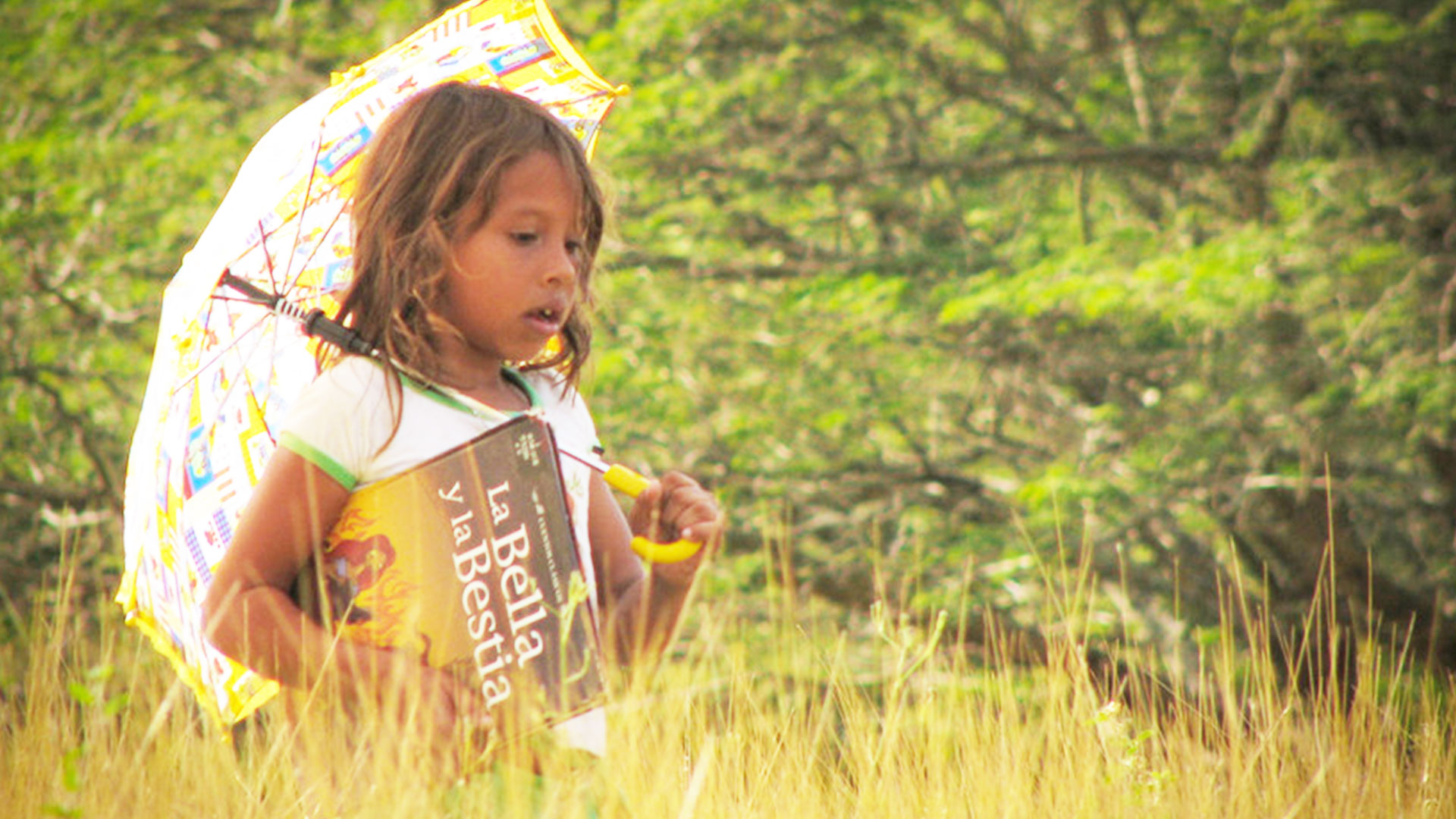 Watch Biblioburro: The Donkey Library | Prime Video