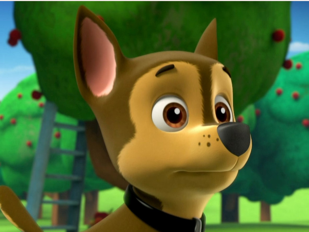 Prime Video: Paw Patrol Season 1