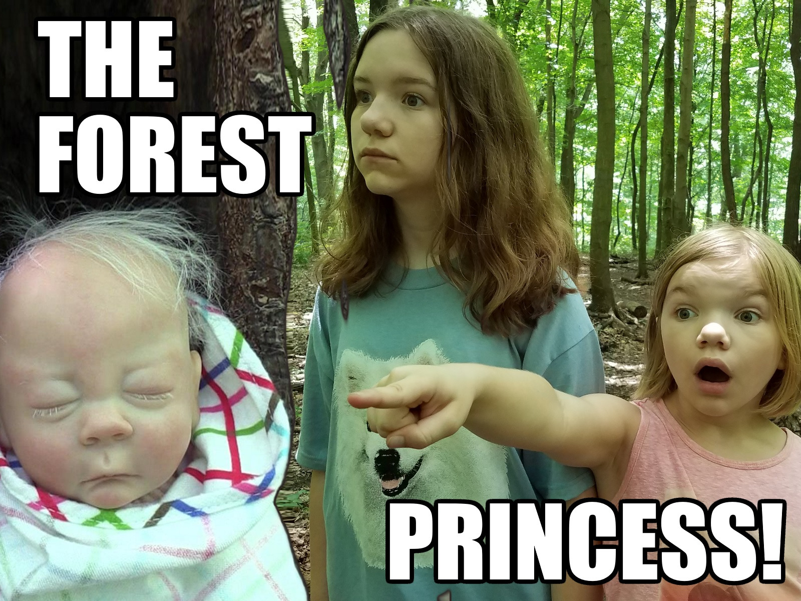 Prime Video: The Forest Princess